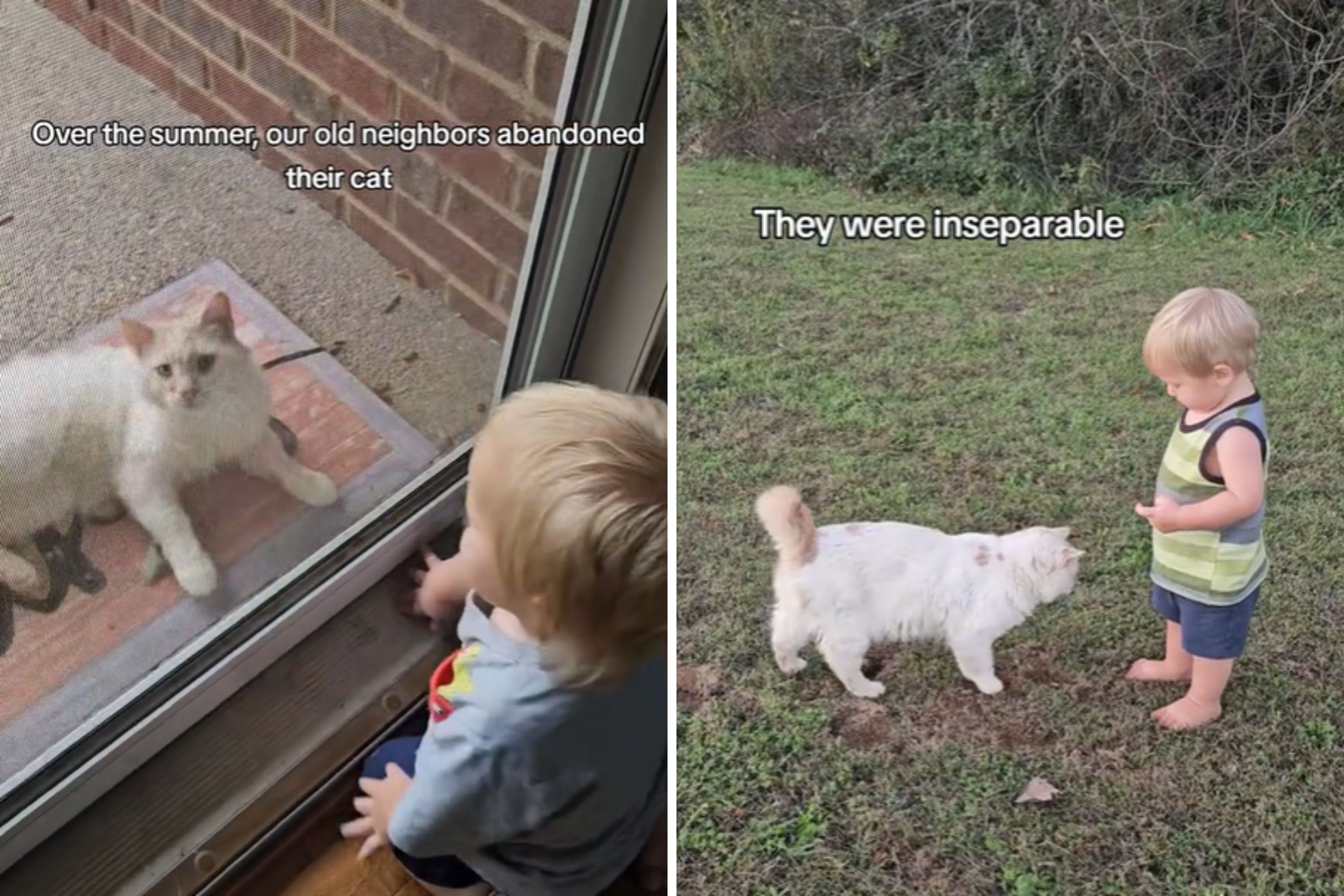 Toddler Convinces Family to Adopt Cat Abandoned by Neighbors—'Welcome ...