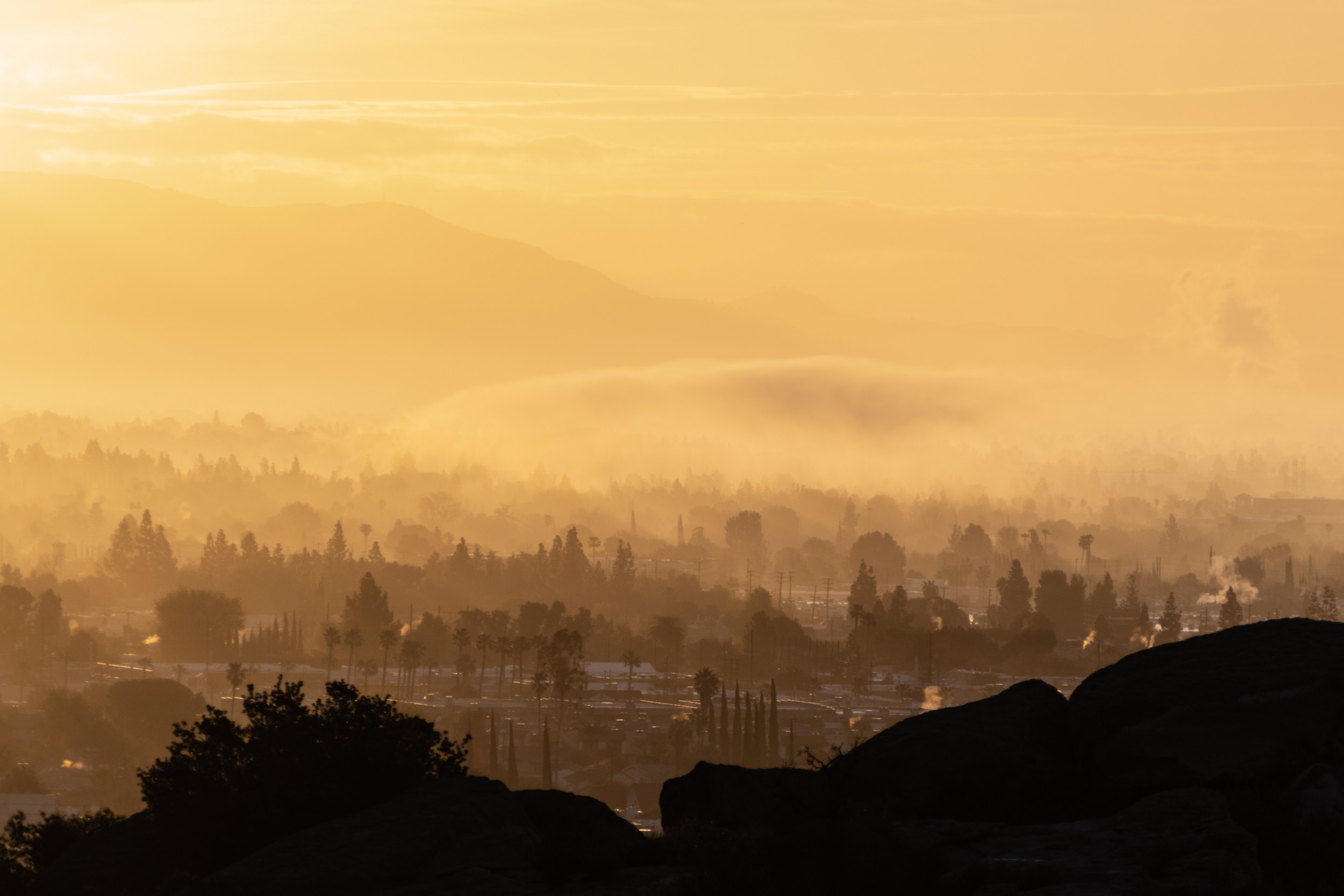 Millions in California Told to Keep Windows Closed, Avoid Grilling - Newsweek