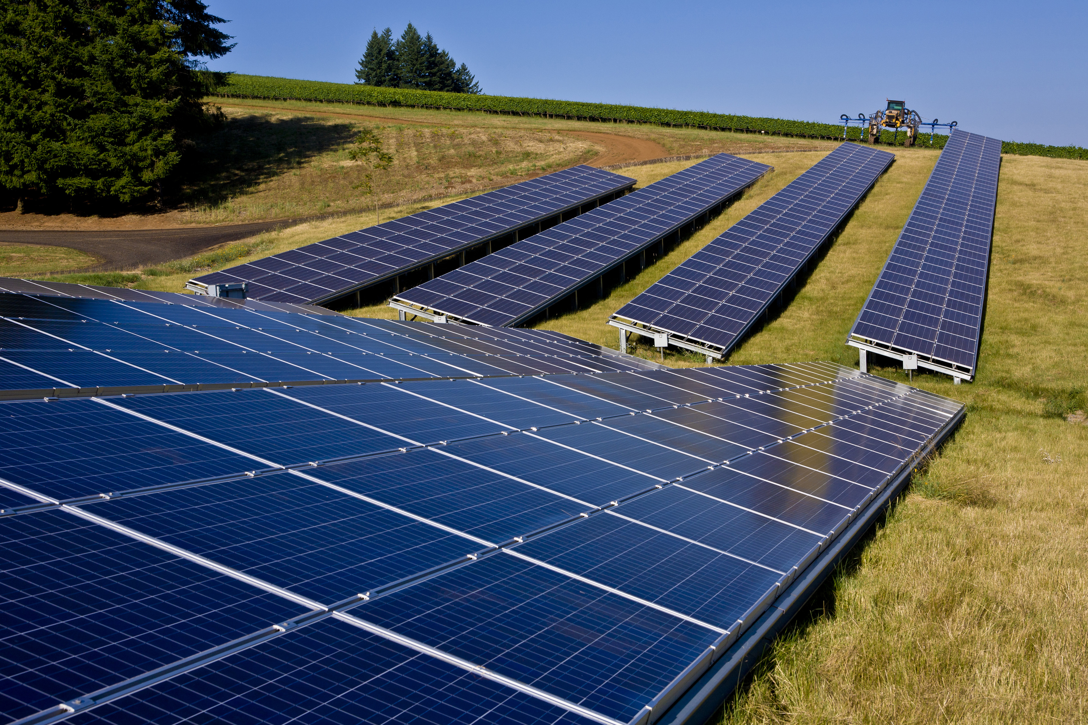 Largest Solar Energy Project in U.S. Reaches Major Milestone - Newsweek