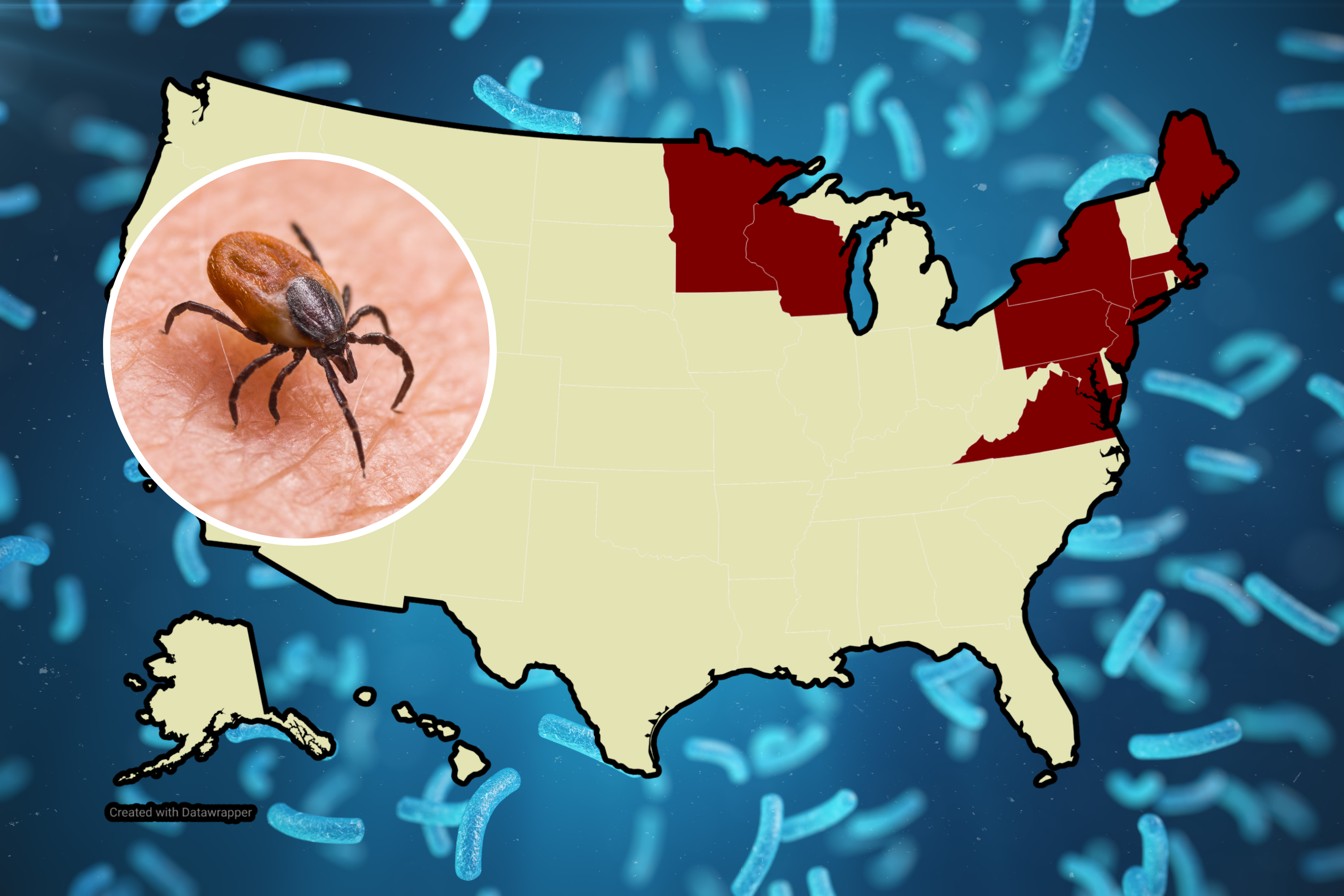 Map Reveals Top 10 States for Lyme Disease - Newsweek