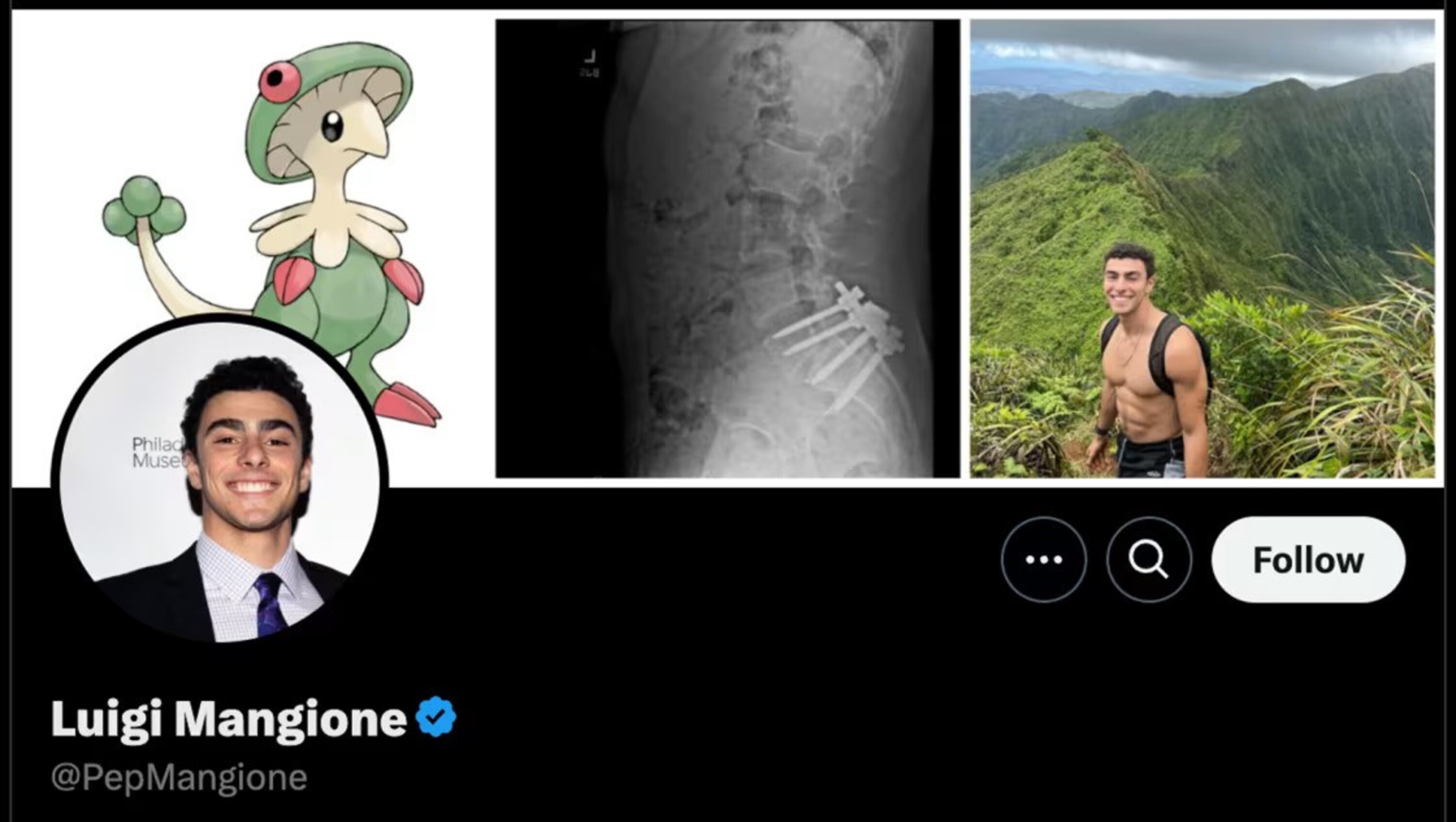 Luigi Mangione Conspiracy Theories Flood Social Media - Newsweek