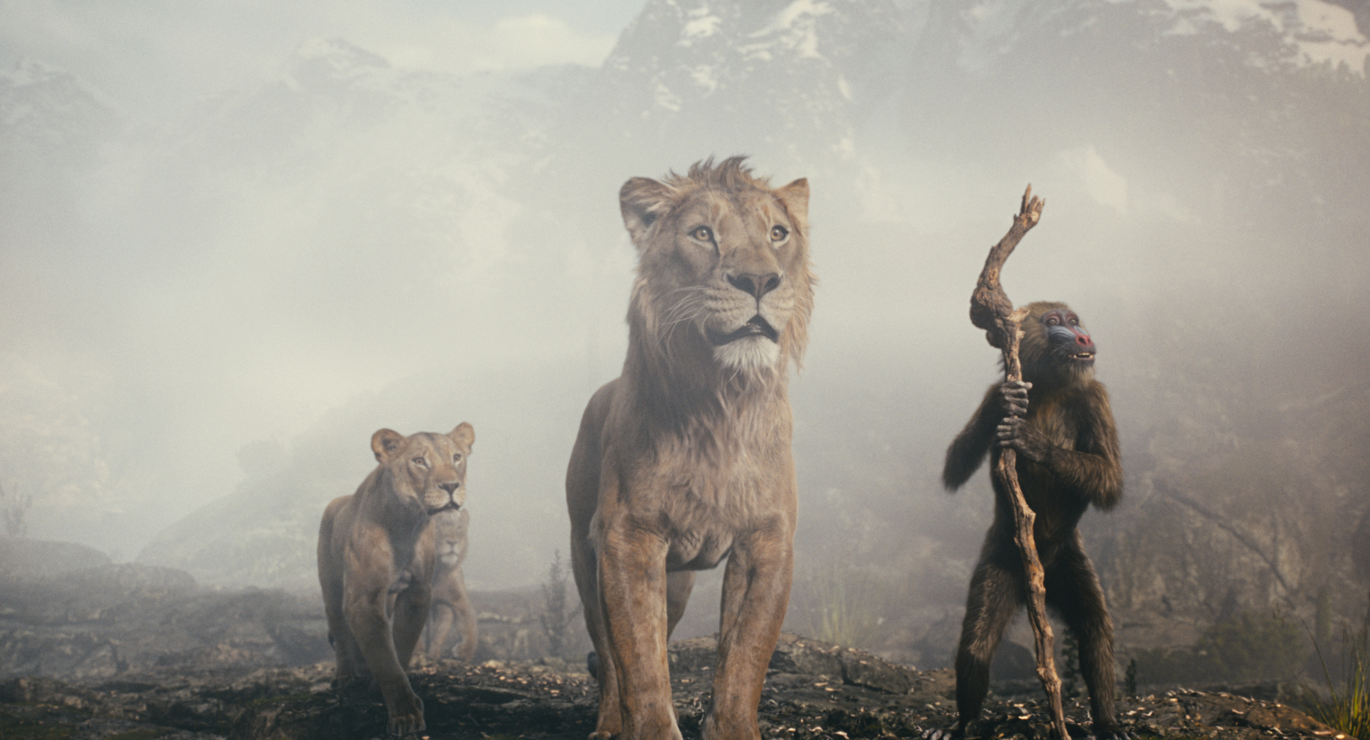 The Lion King Scar And Mufasa Mufasa: The Lion King – Premiere Date,