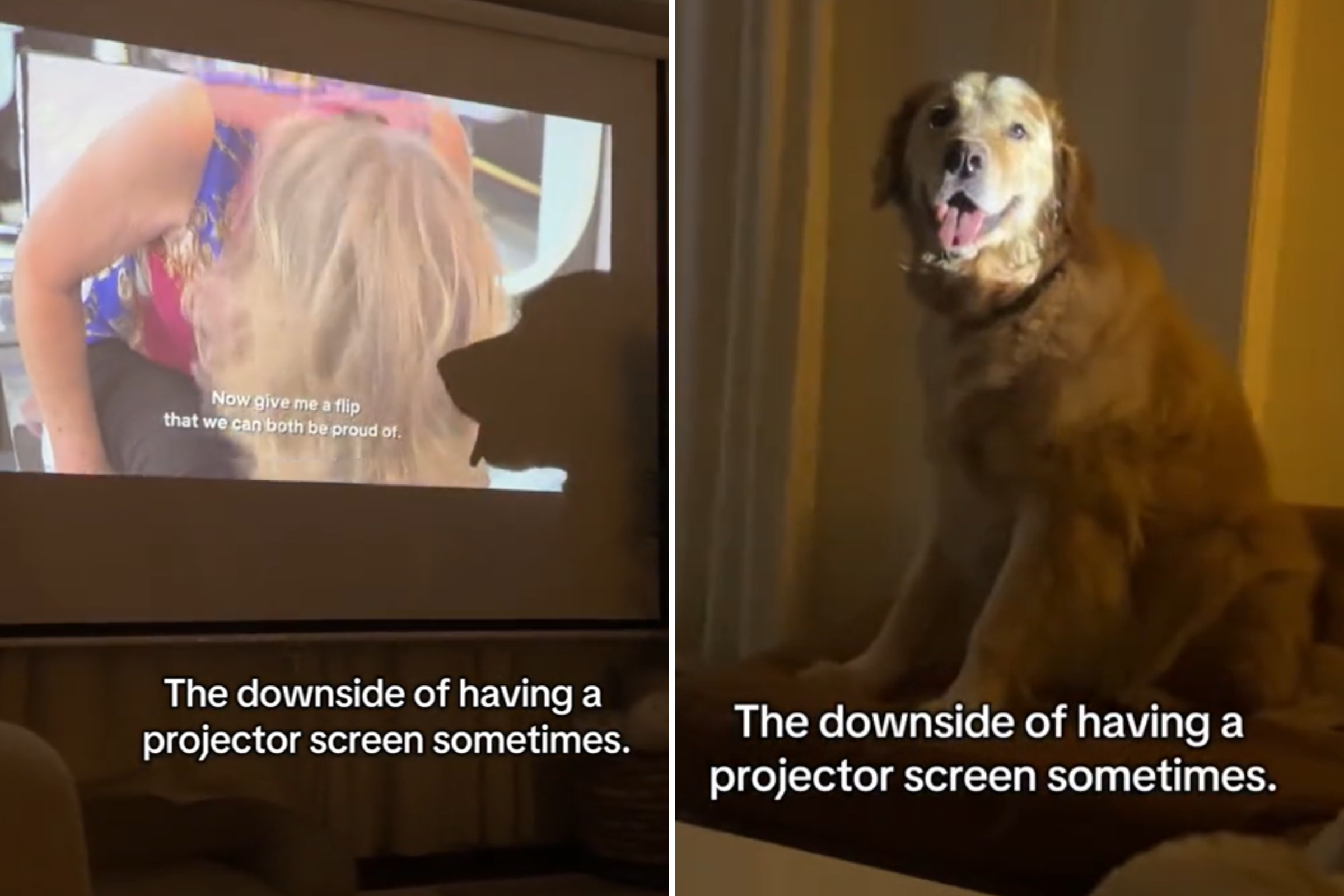 Hilarious Moment Owner Realizes The Issue With Having a Projector and a ...