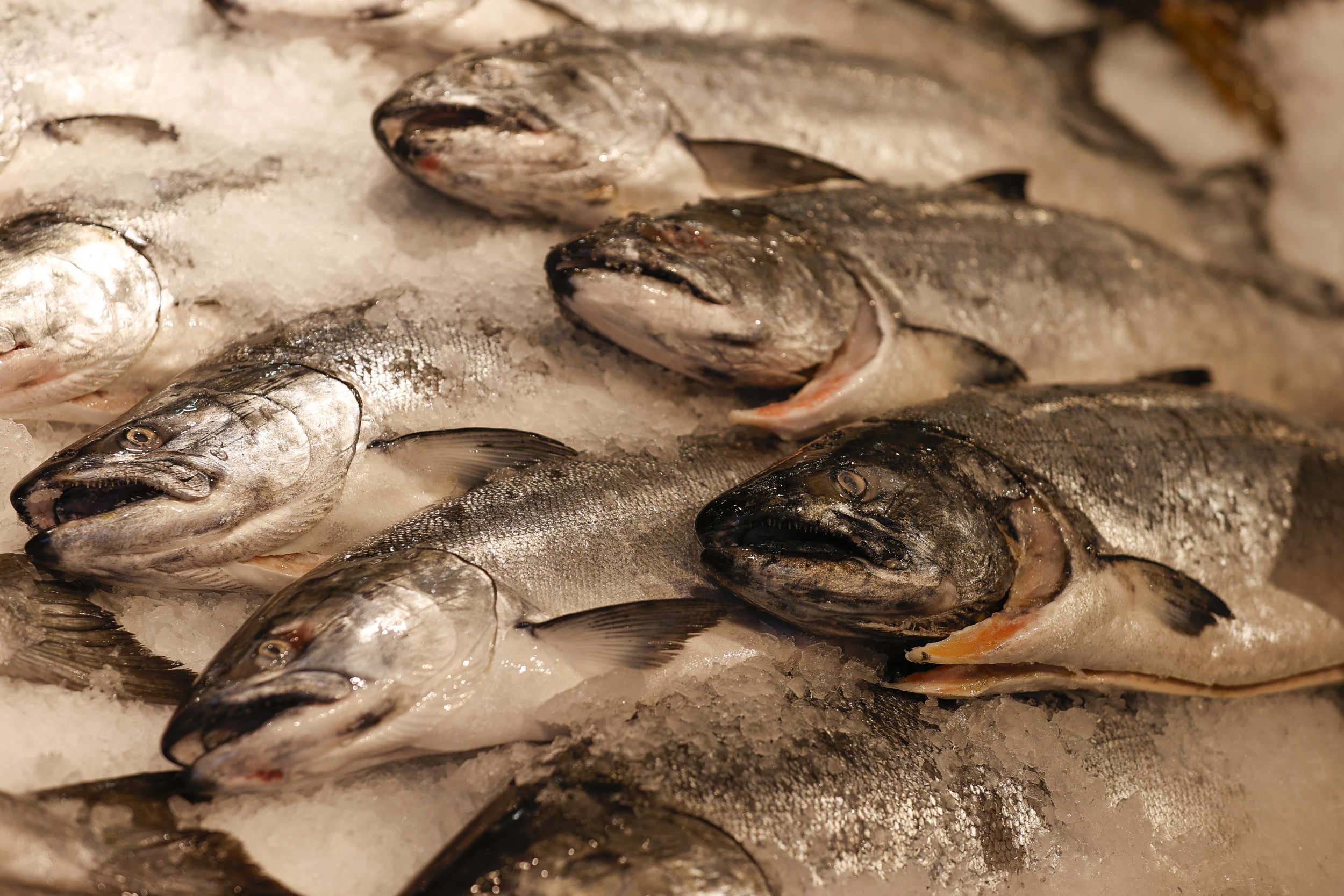 Salmon Recall Over Potential Listeria Contamination - Newsweek
