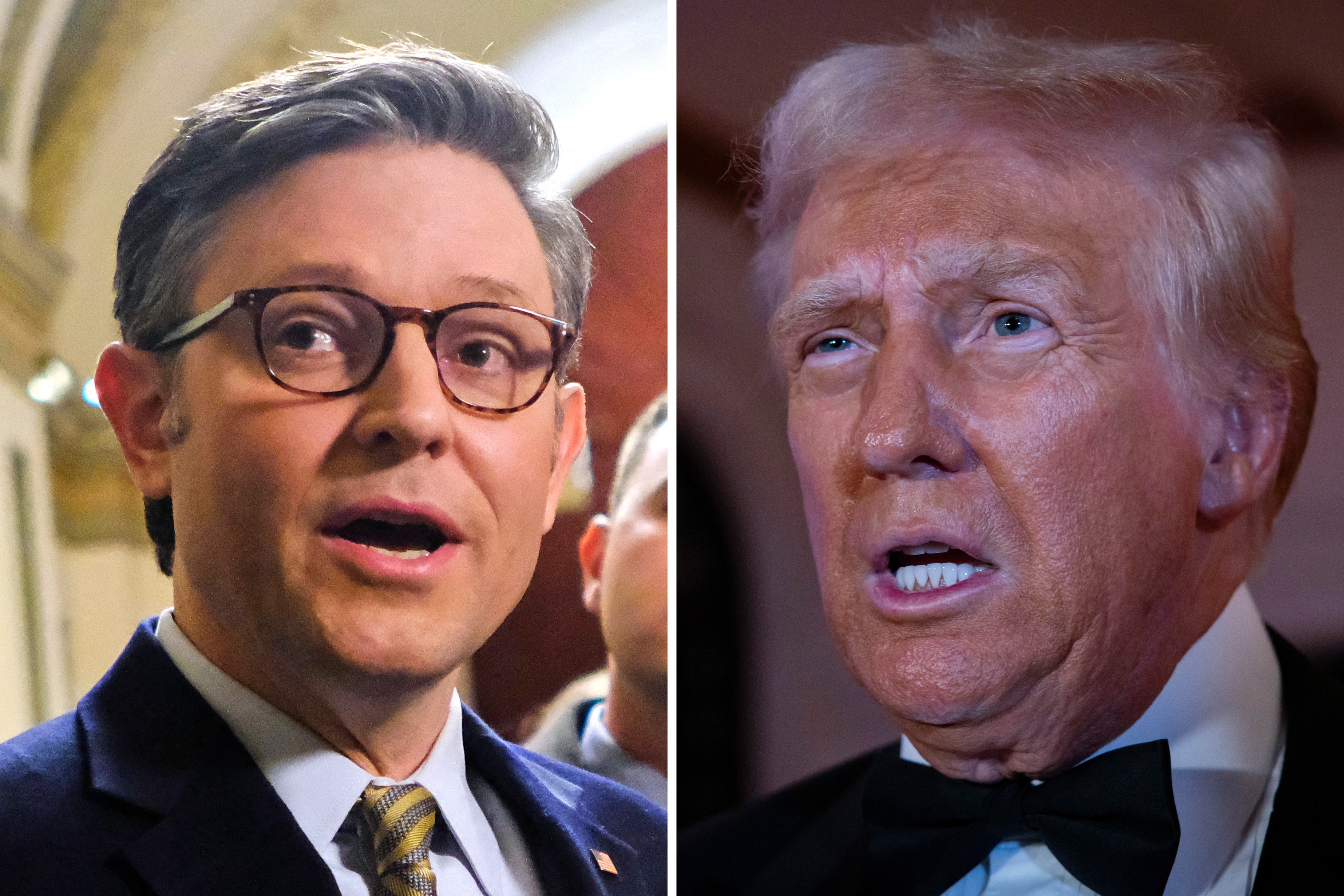 Donald Trump Wishes Mike Johnson 'Good Luck' Before Crucial Speaker ...