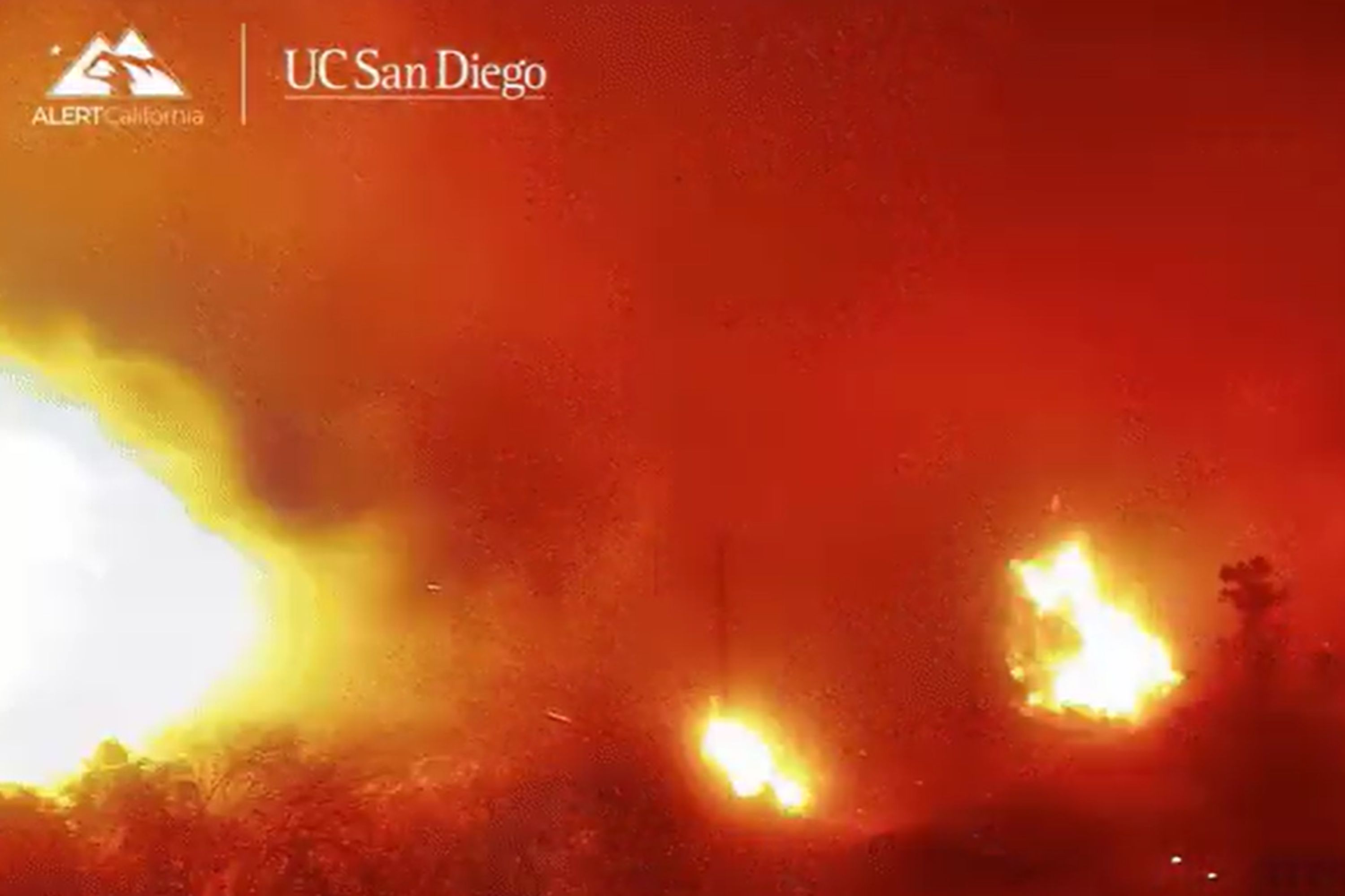 Video of Palisades Fire Shows 'Most Extreme Fire Behavior' - Newsweek