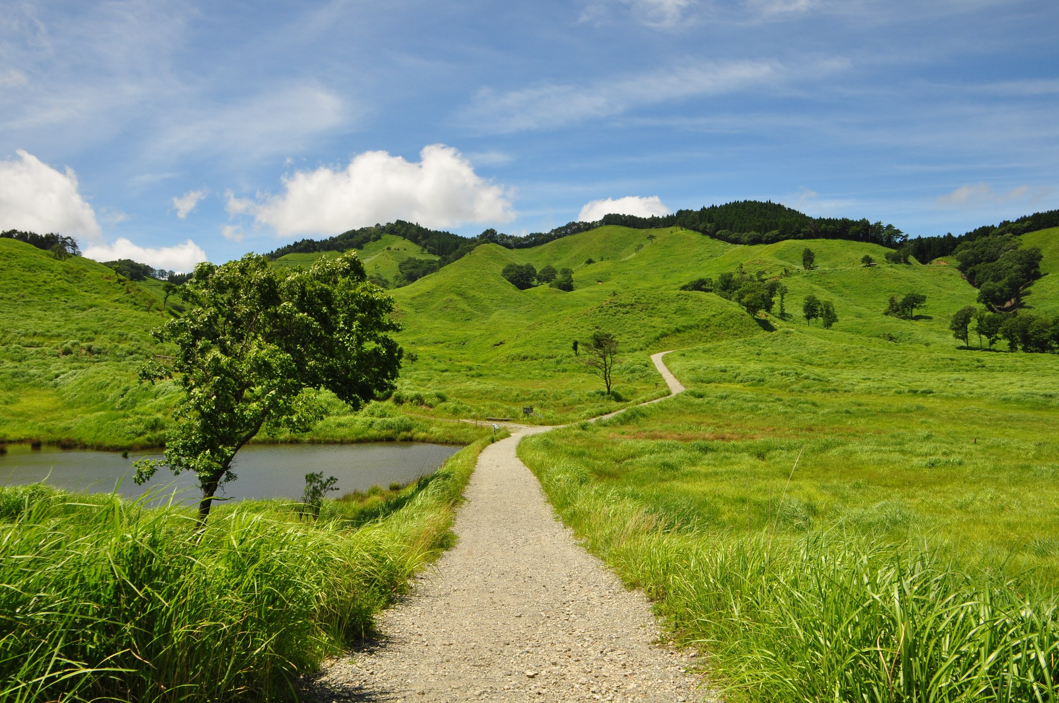 A Trip through Hyogo's Breathtaking Scenery - Newsweek