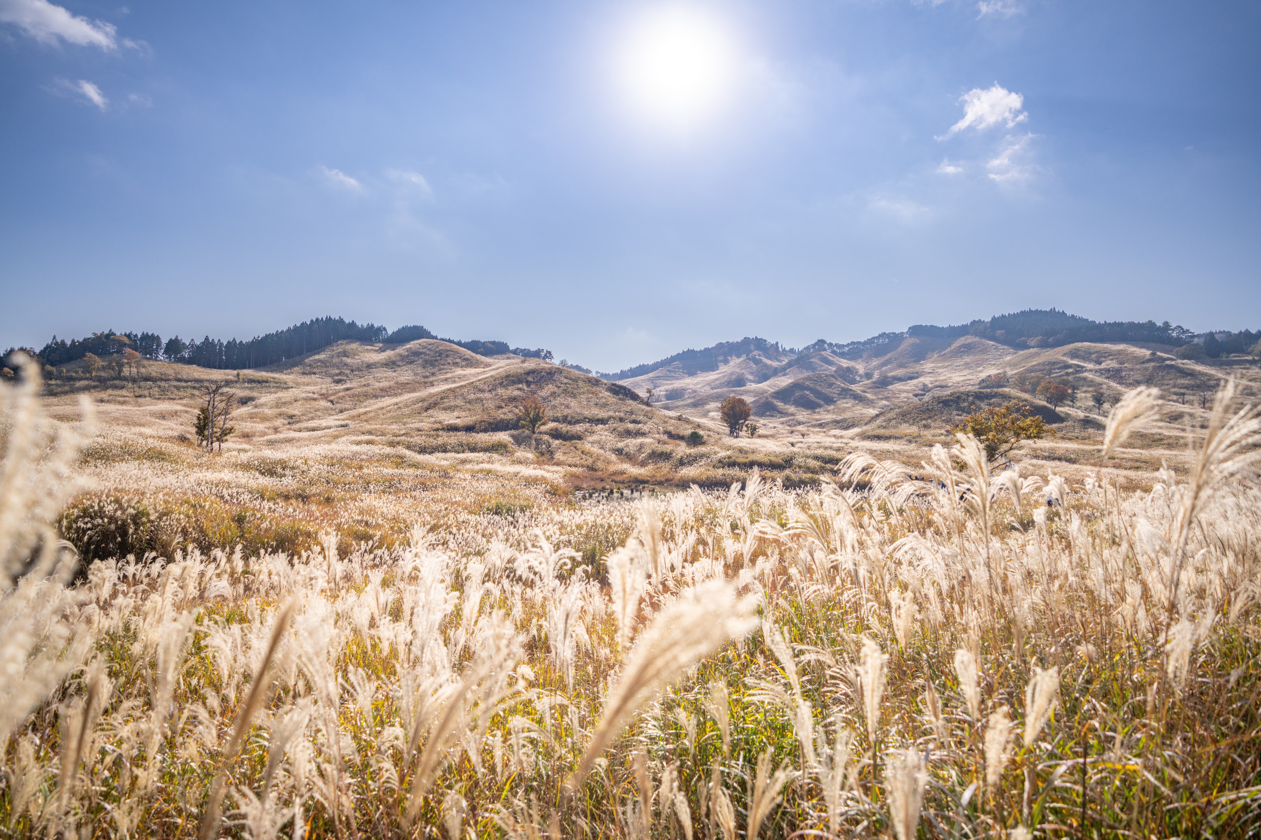 A Trip through Hyogo's Breathtaking Scenery - Newsweek