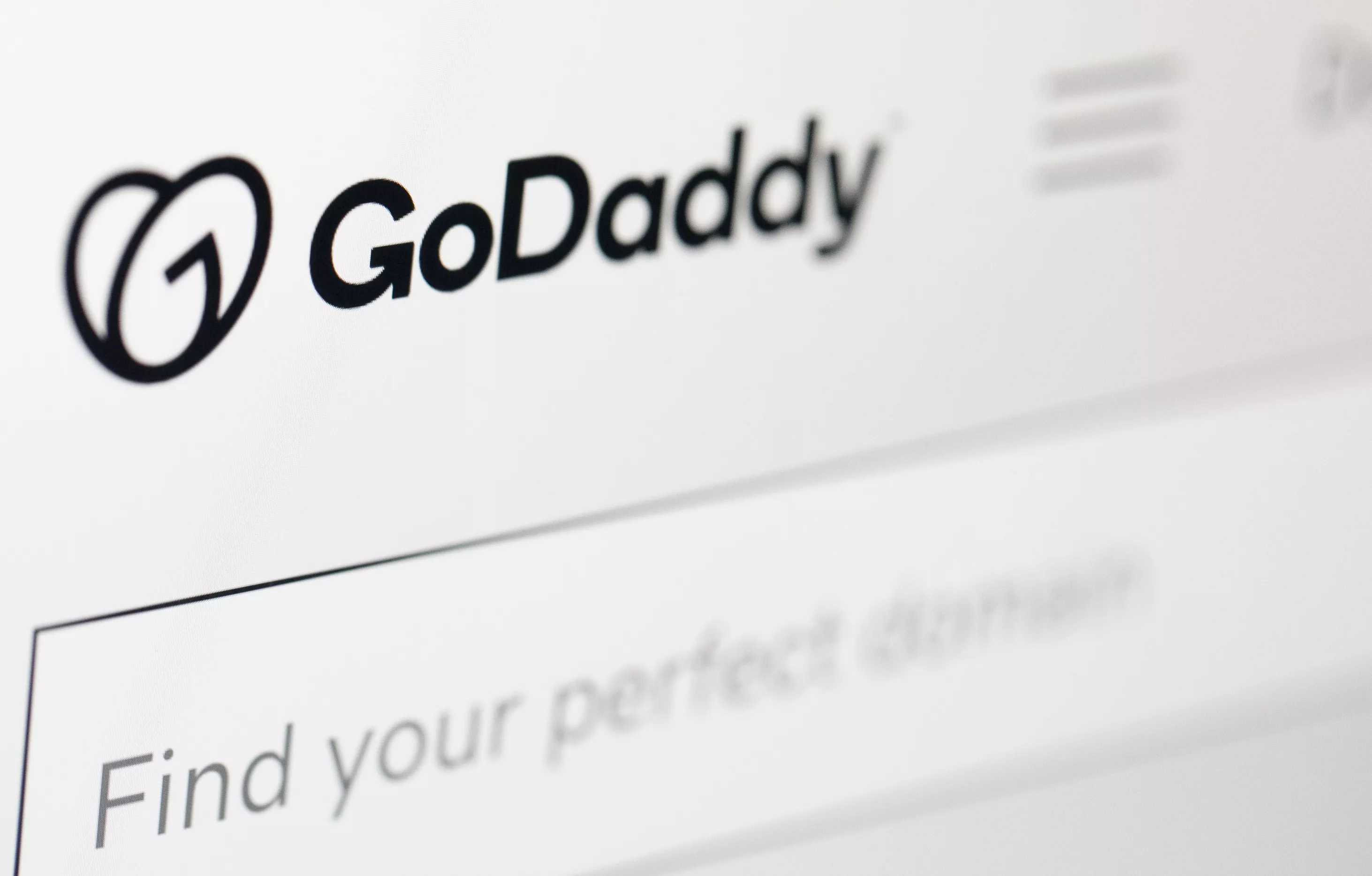 Godaddy Icon