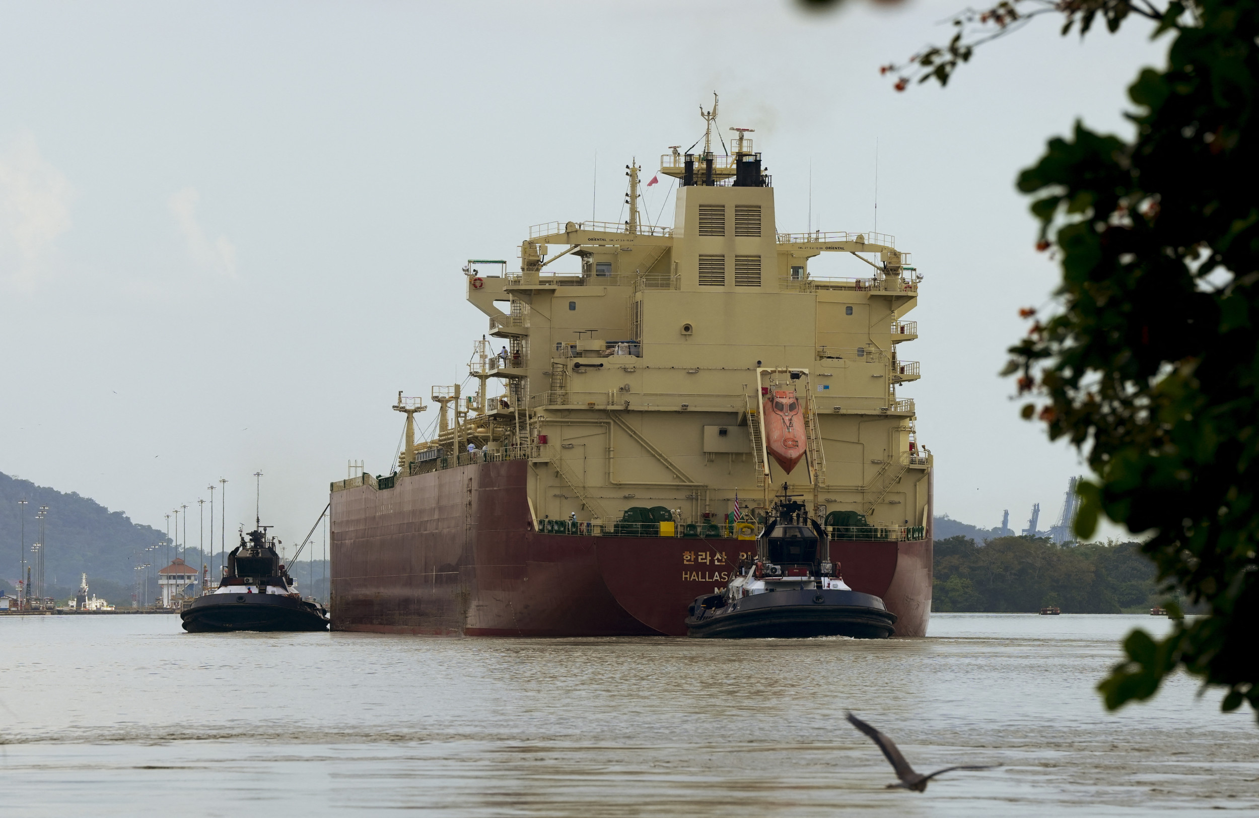 Trump Administration Threatens Federal Employees Who Fail Report ...