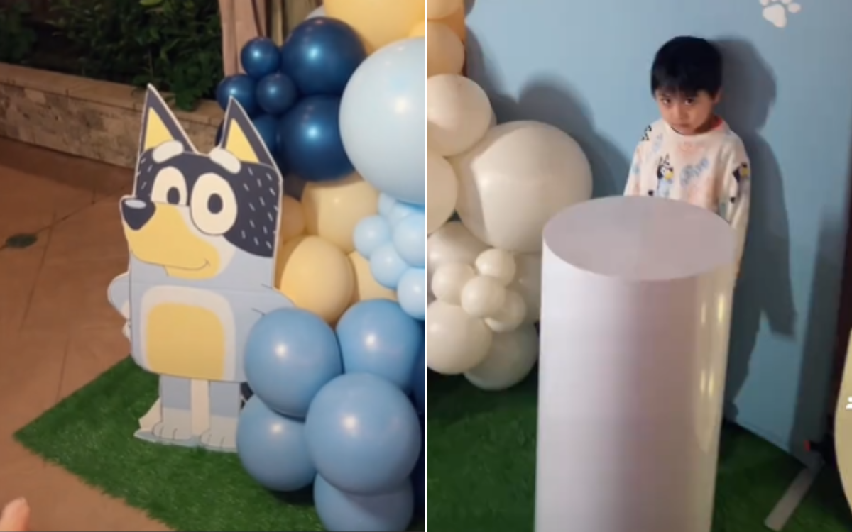 Woman Throws Nephew 'Bluey' Birthday Party, Then Realizes Her Mistake ...