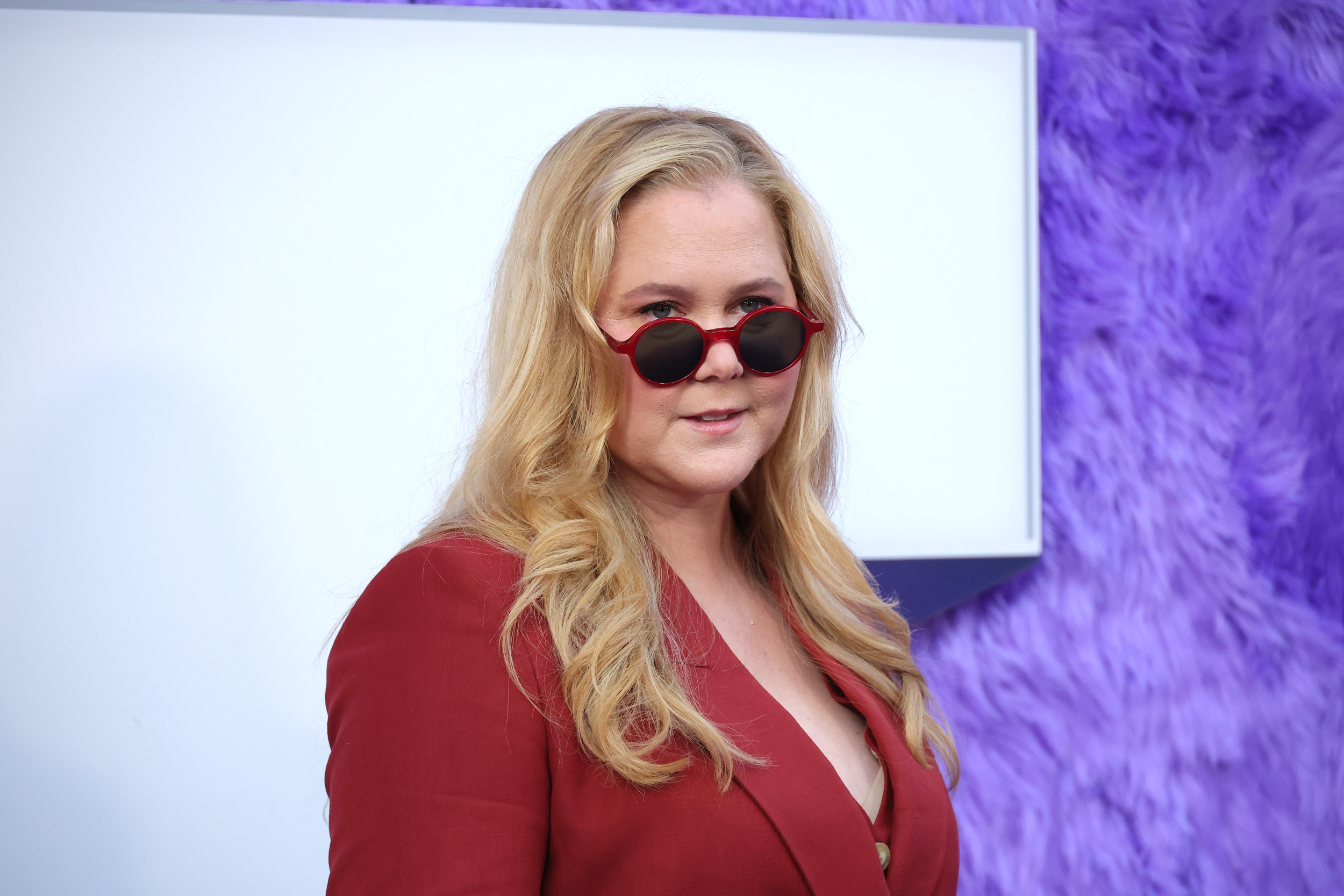 This Celeb Thought Amy Schumer Was Almost 10 Years Older That She Is ...