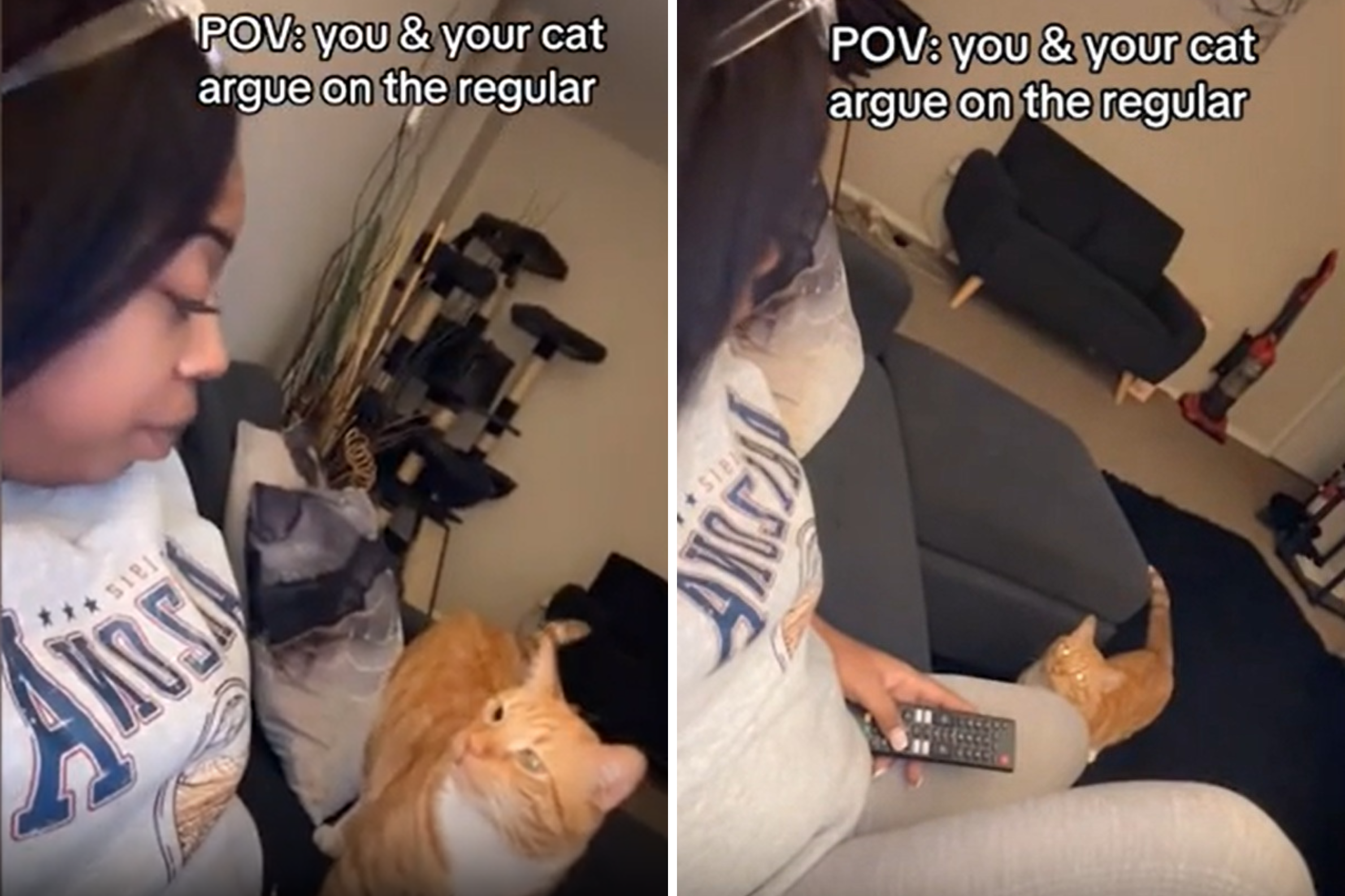 Woman Films Her Love-Hate Relationship With Cat: 'Argue on the Regular ...
