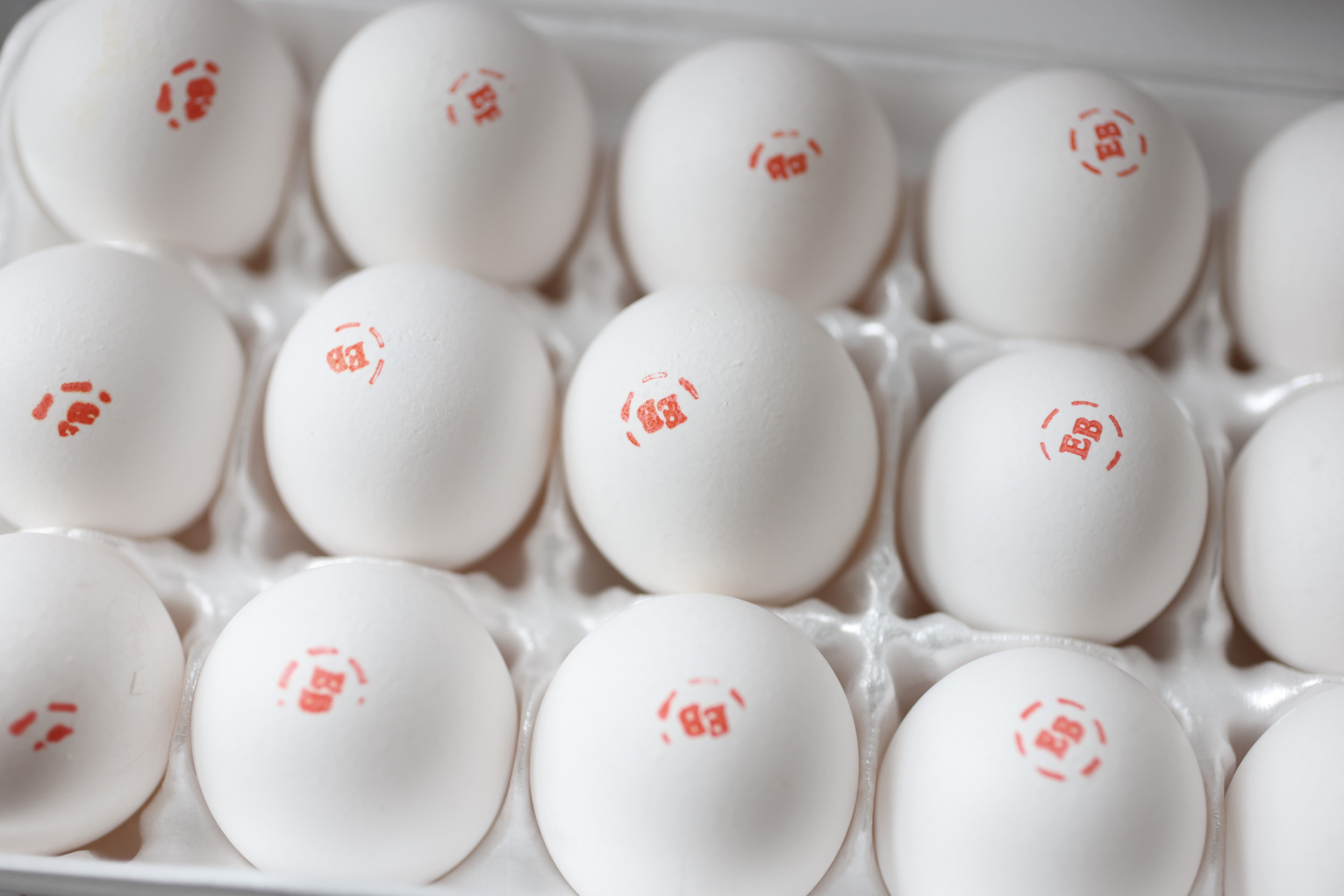 List of Major US Retailers Limiting Egg Purchases Amid Bird Flu Crisis ...
