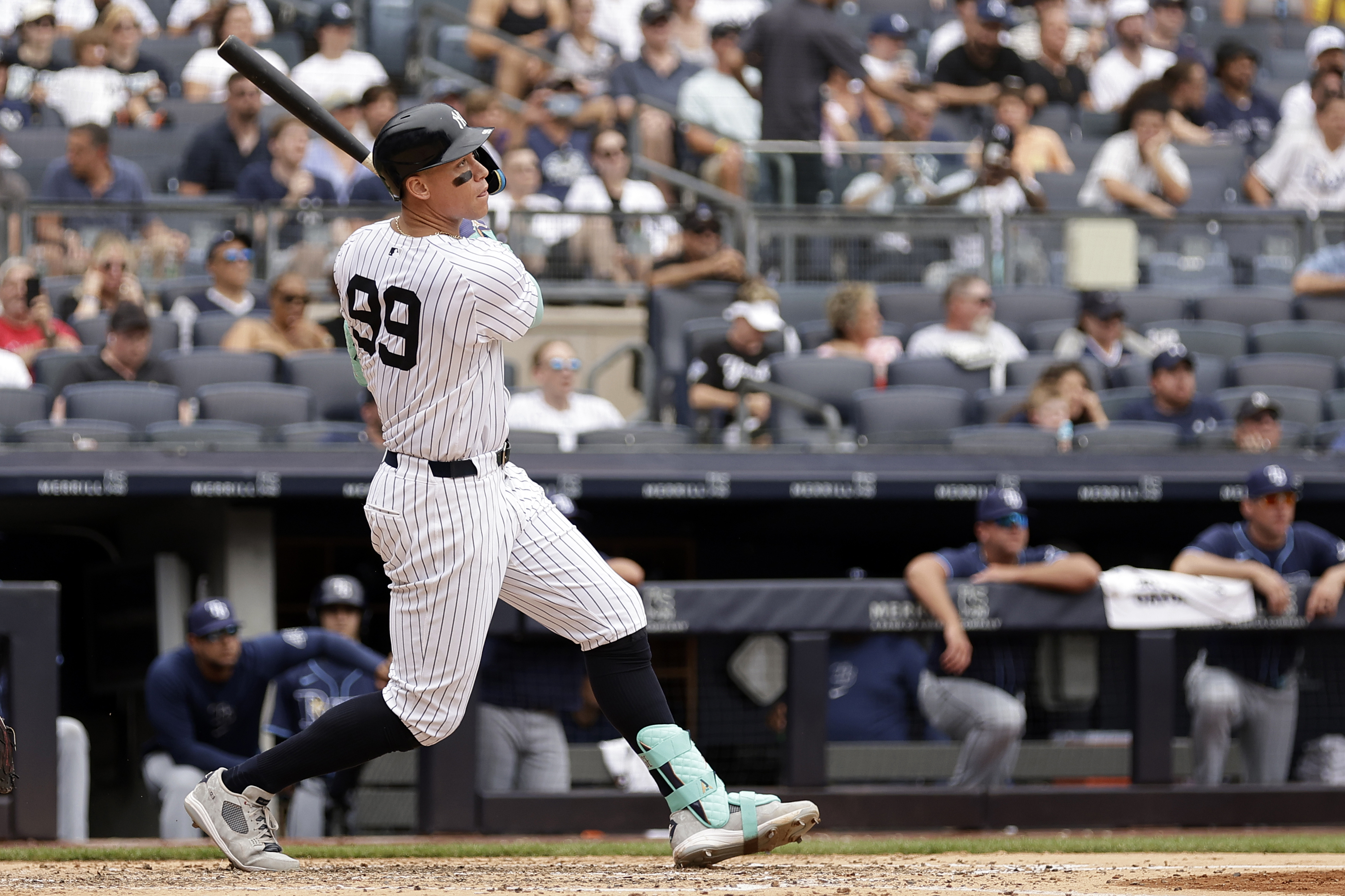 How to Watch Rays vs Yankees: Live Stream MLB Spring Training, TV ...