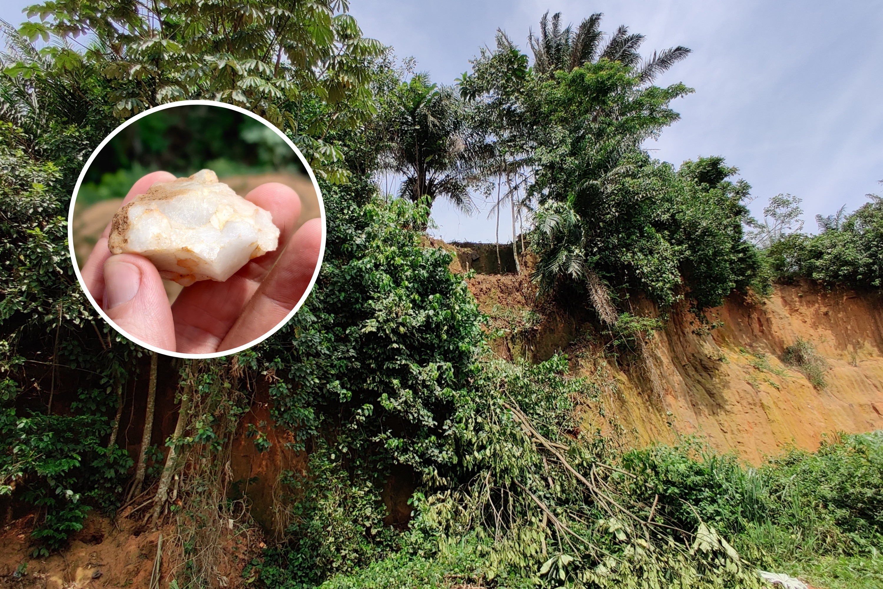 Evolution: 150,000-Year-Old Rainforest Discovery Shakes Up Human ...