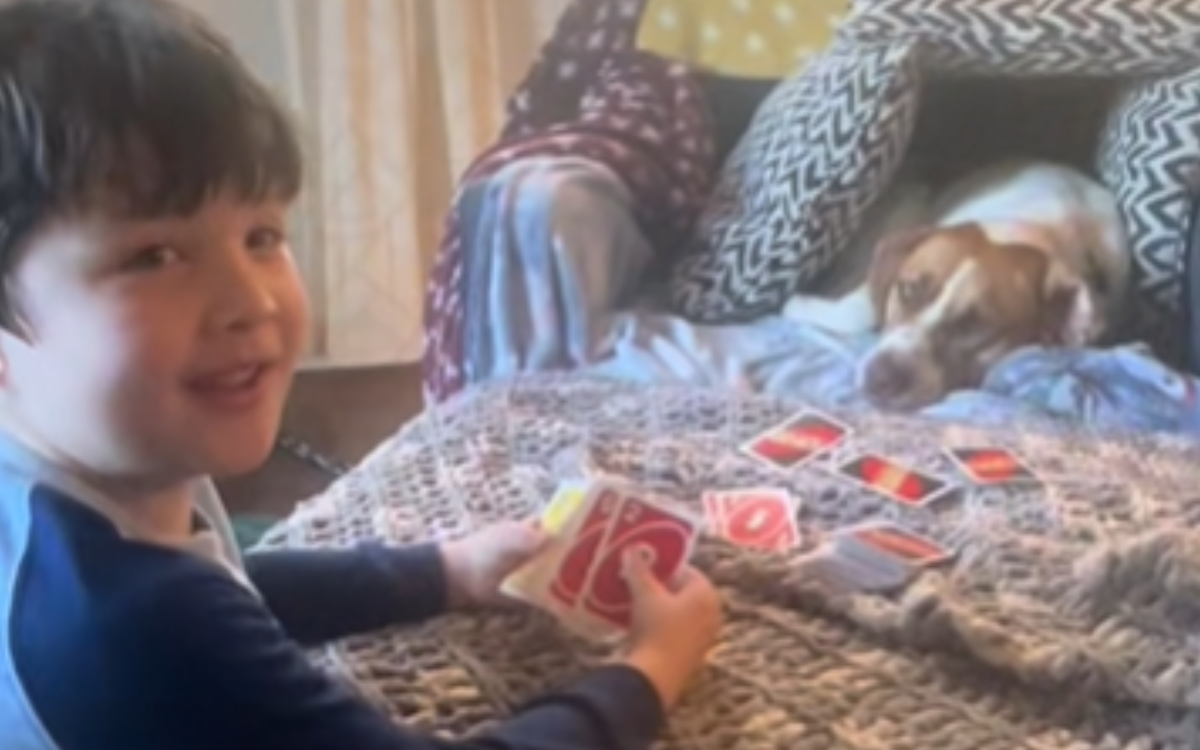 Rescue Dog Beats 5 Year Old at Uno, As Kid Admits 'He's Good at This ...