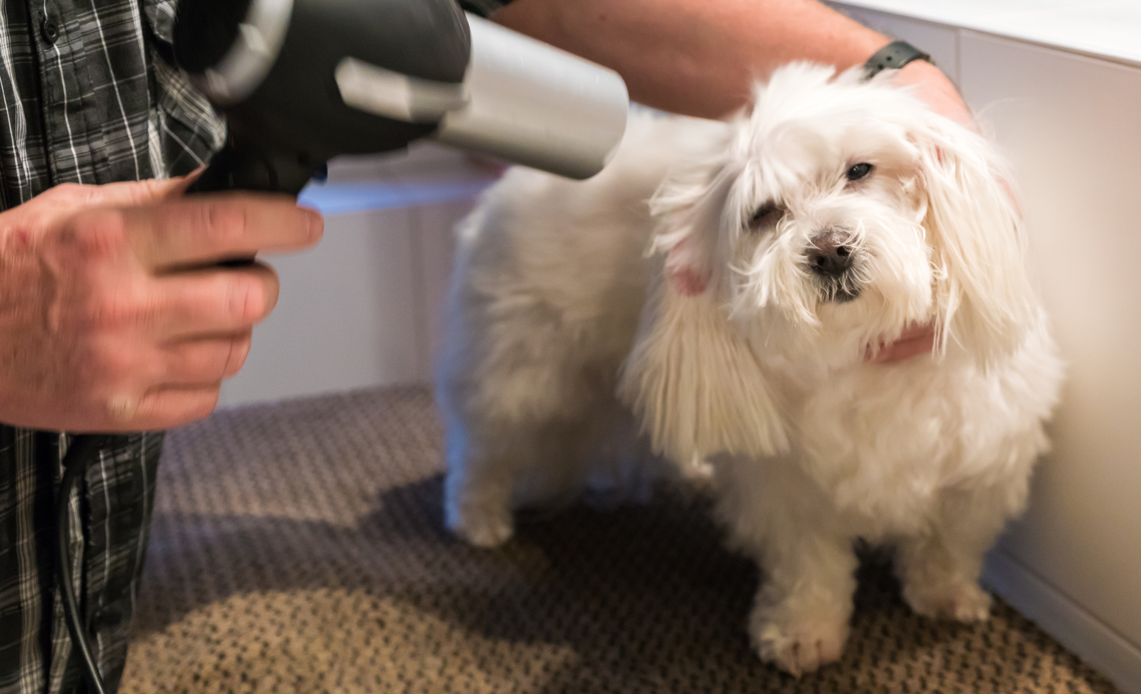 Internet Can't Cope With How Doodle Gets Blowout: 'Is This Normal ...