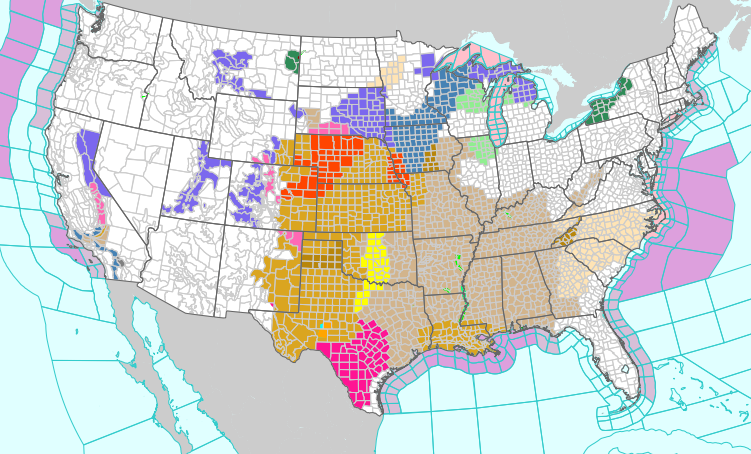 Severe Weather Including Thunderstorms, Tornadoes Shifting Eastward - Newsweek