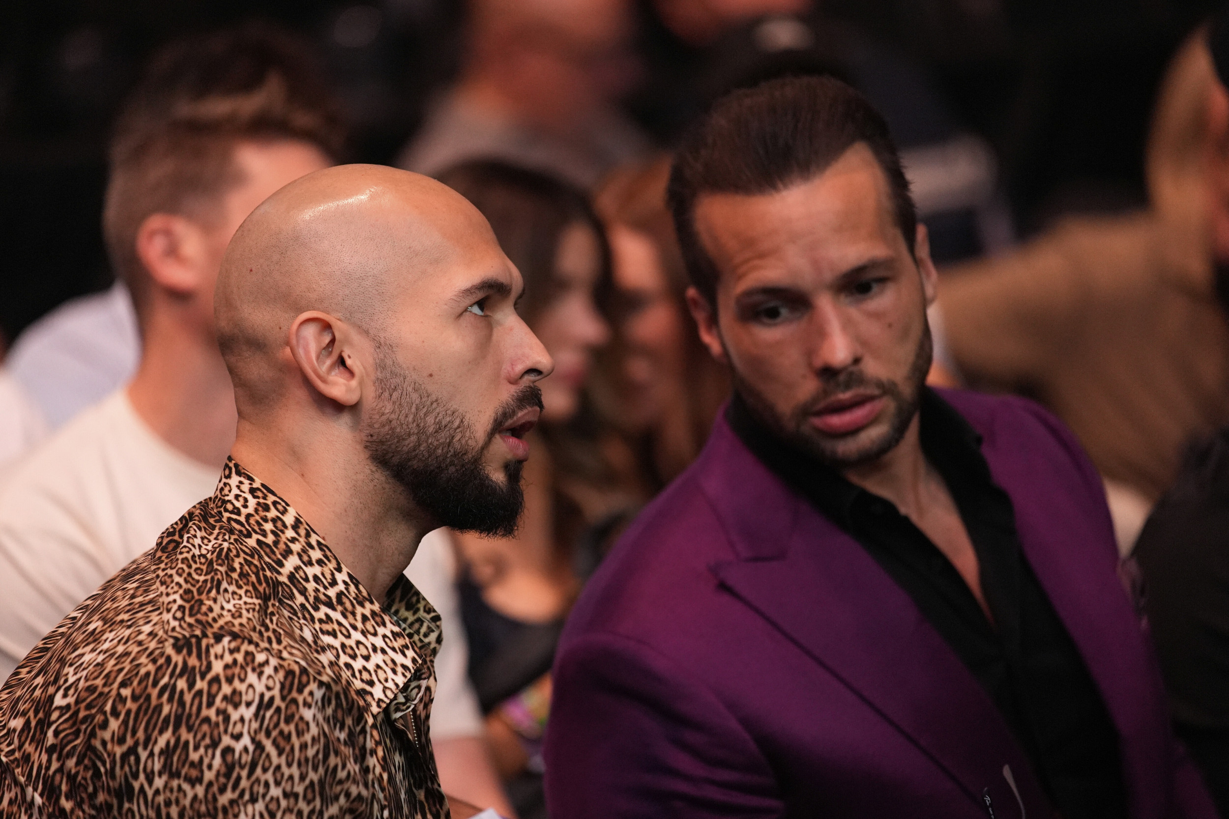 Trump Ally Welcoming Andrew Tate Sparks Conservative Backlash - Newsweek