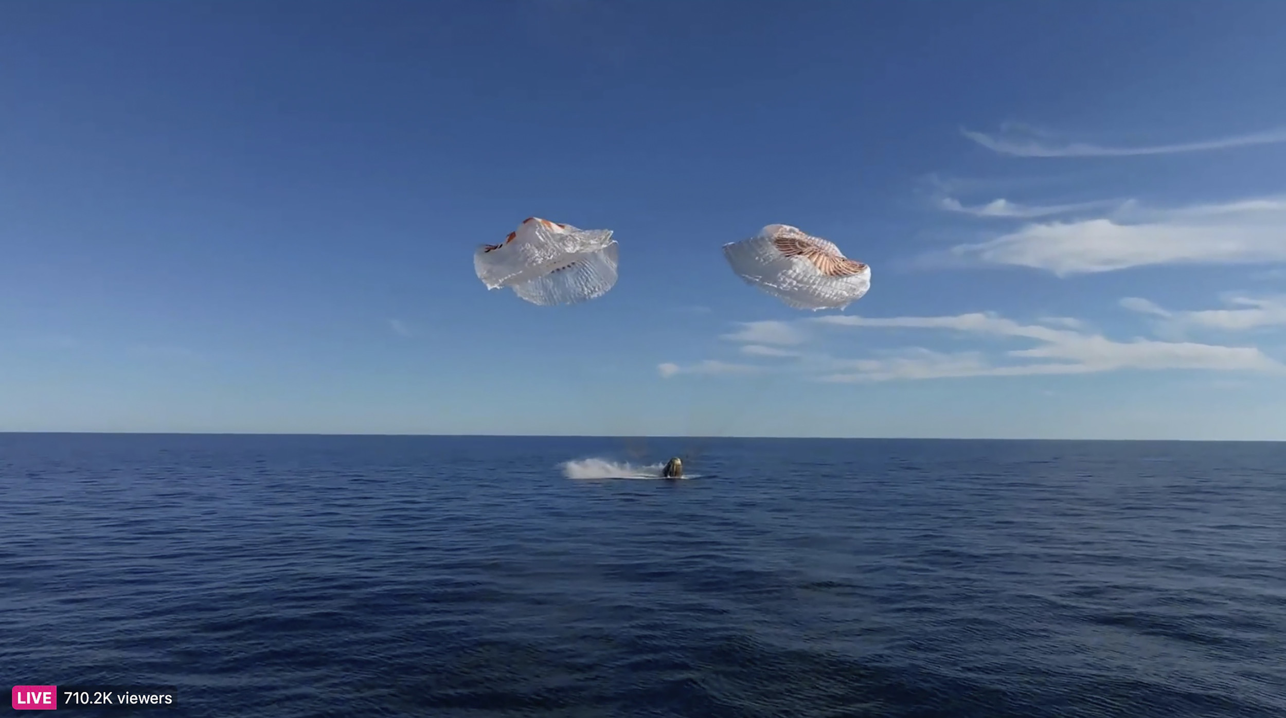 Dolphins Greet NASA Astronauts After SpaceX's Gulf Splashdown | VT News