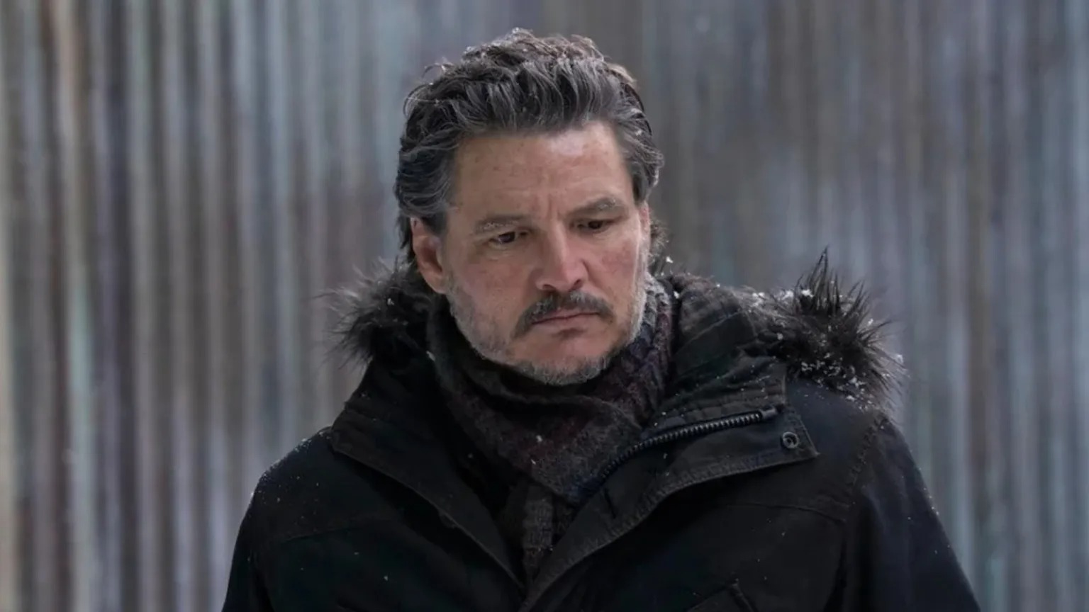 Best New TV Series You Must See in April 2025 - Newsweek