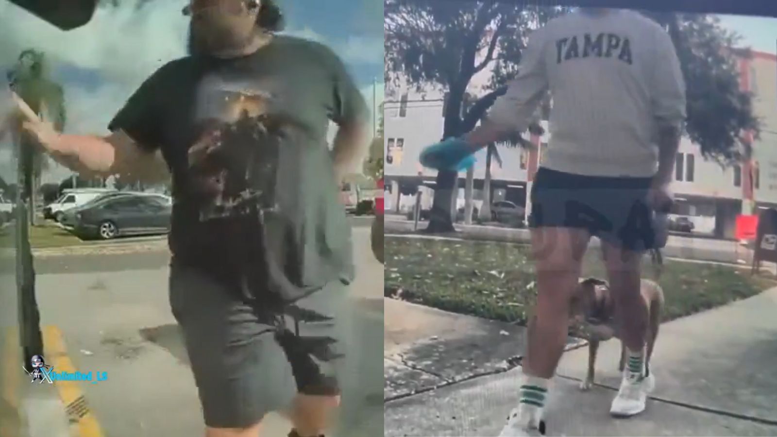 Tesla Cars Smeared With Feces by Anti-Elon Musk Protesters - Newsweek