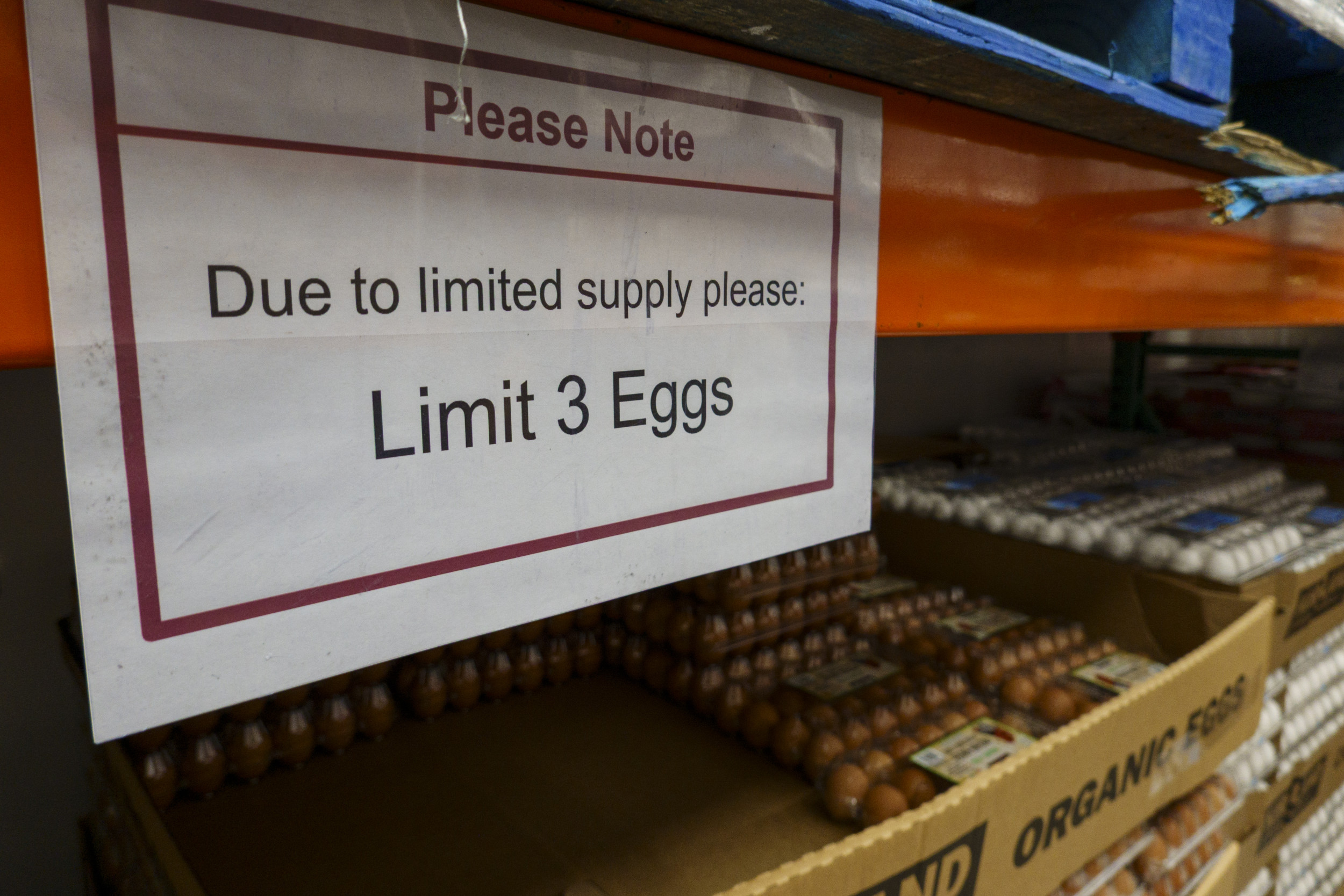 Unstable Egg Prices Spur Trump Admin's New Funding for Bird Flu ...