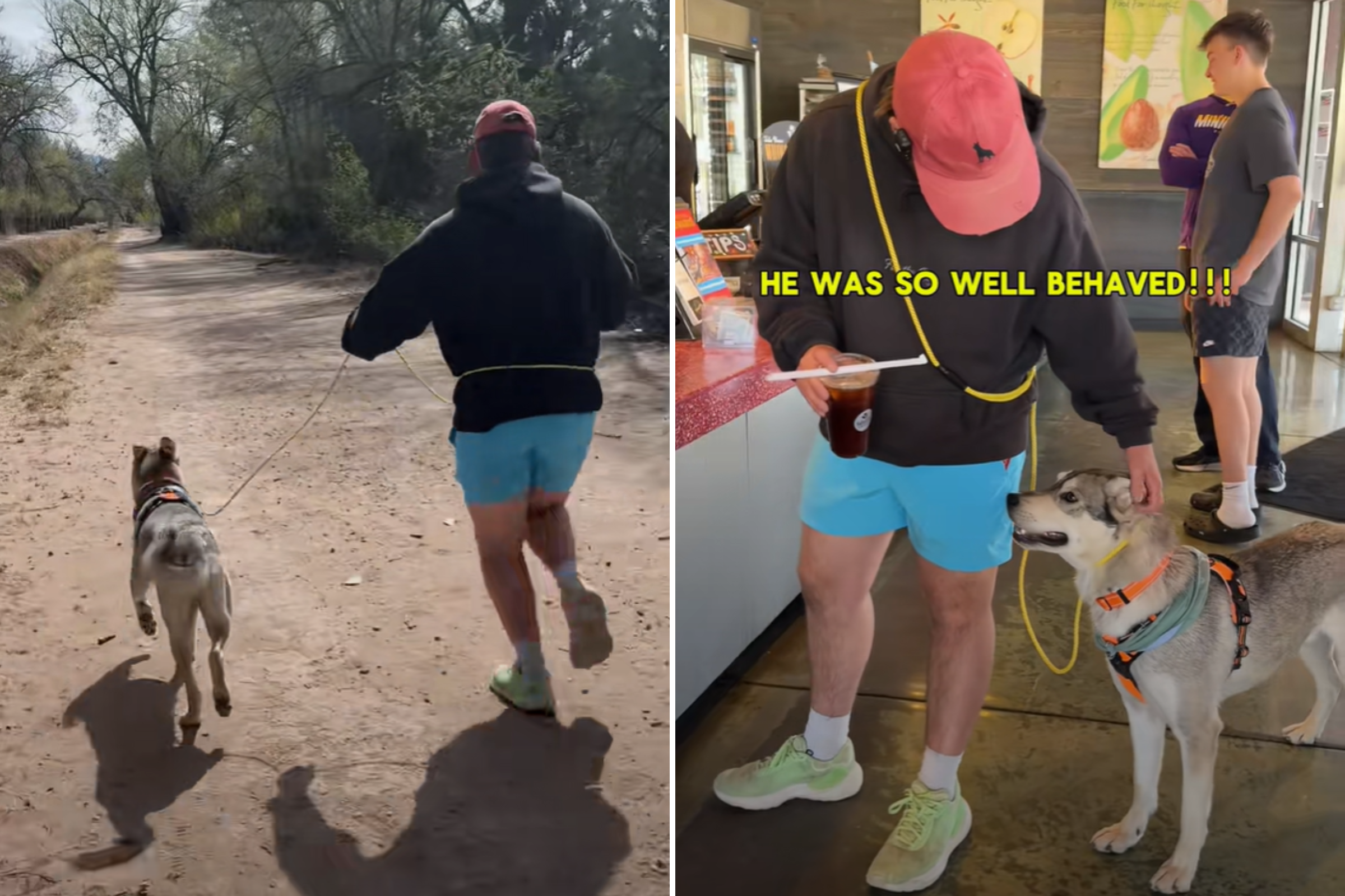 Man Takes Dog Running to Get Noticed After 4 Months Waiting in a ...