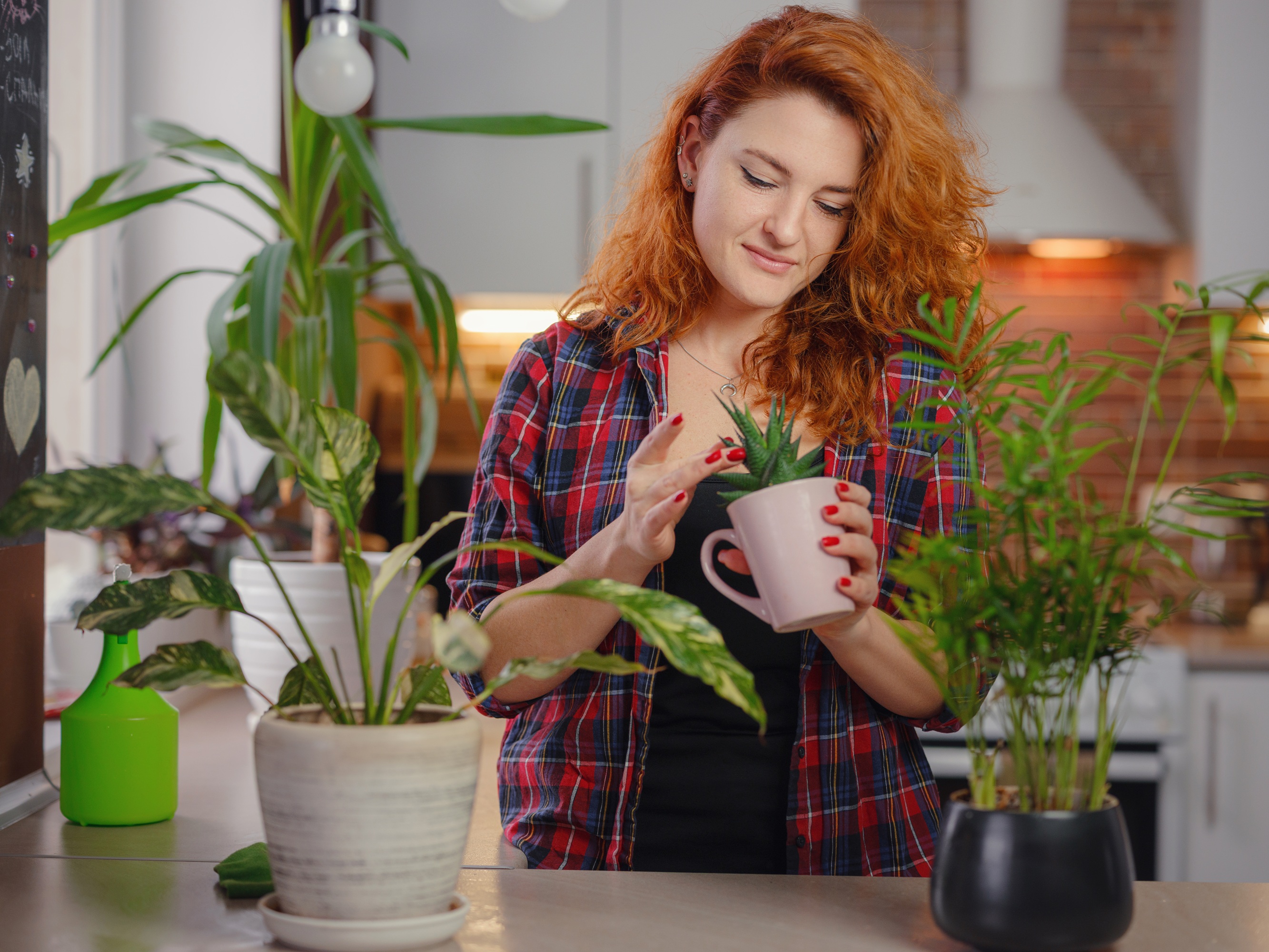 Scientists Reveal the Four Types of Plant Owners - Newsweek