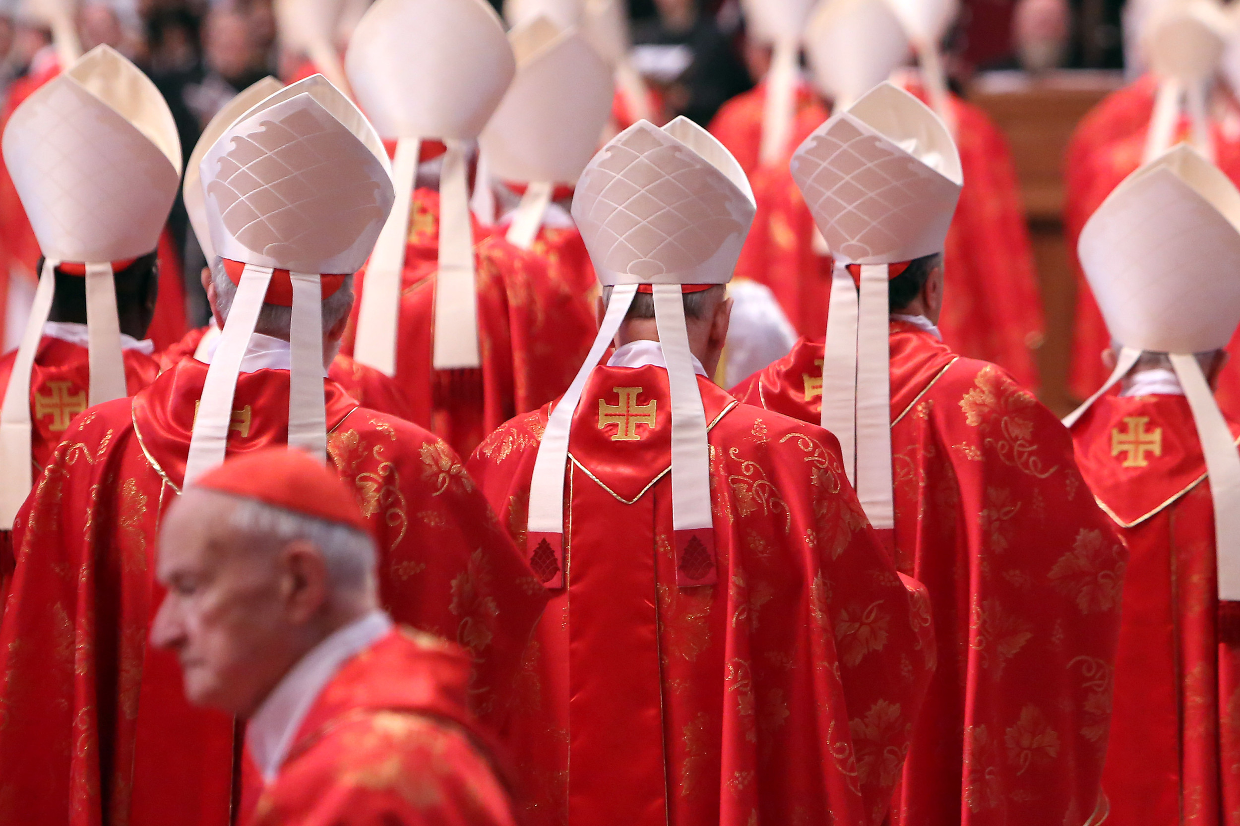 Who Picks the Next Pope? The 135 Cardinals Who Make Up Papal Conclave ...