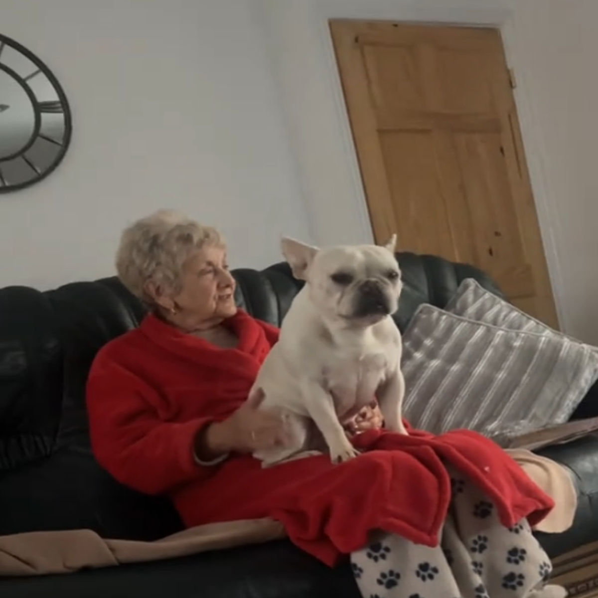 Grieving Grandma Meets Rescue Dog—Then Everything Changes - Newsweek