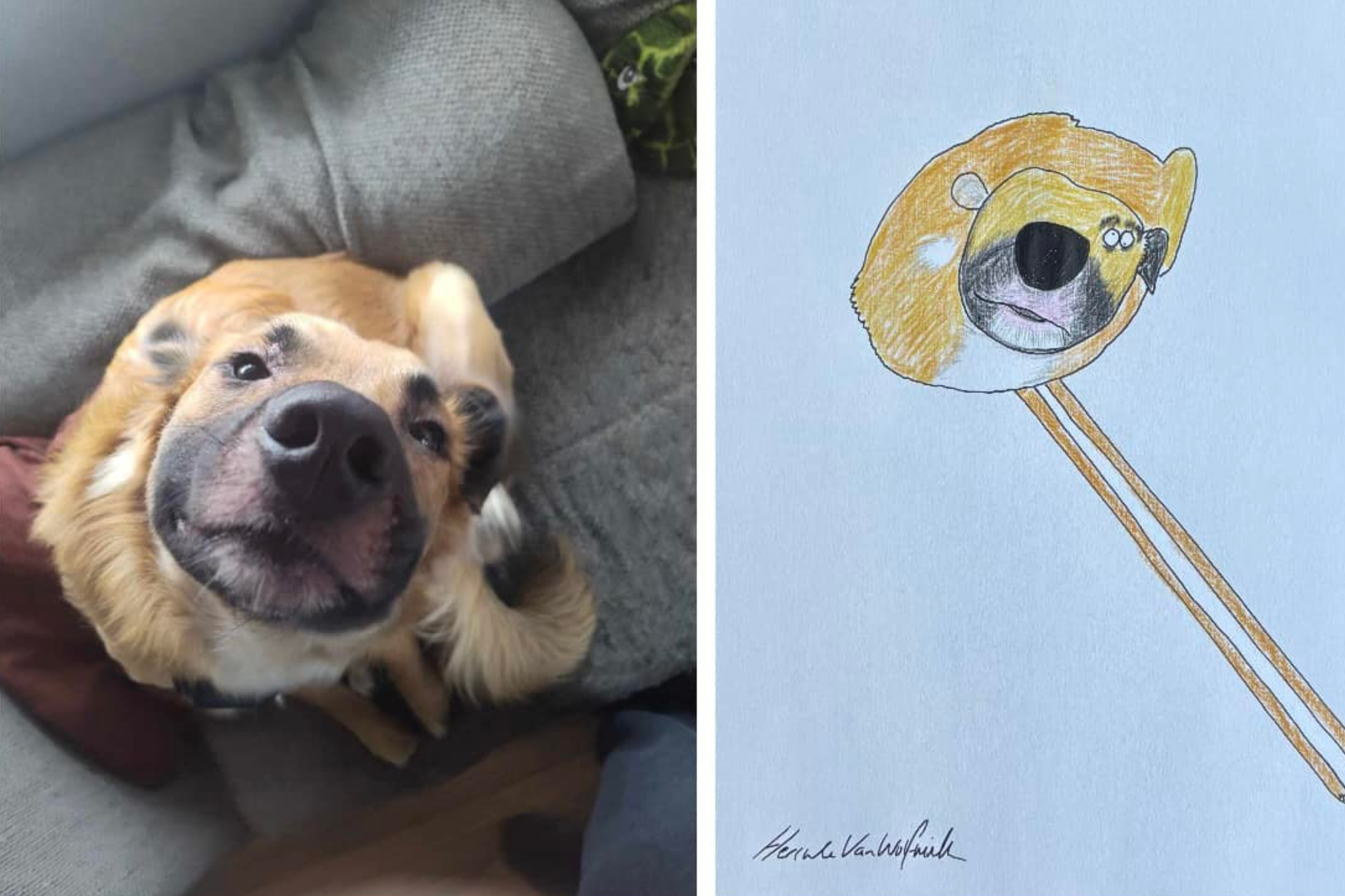Man Drew Terrible Pet Portraits, Turns Out They Were Worth $500K - Newsweek