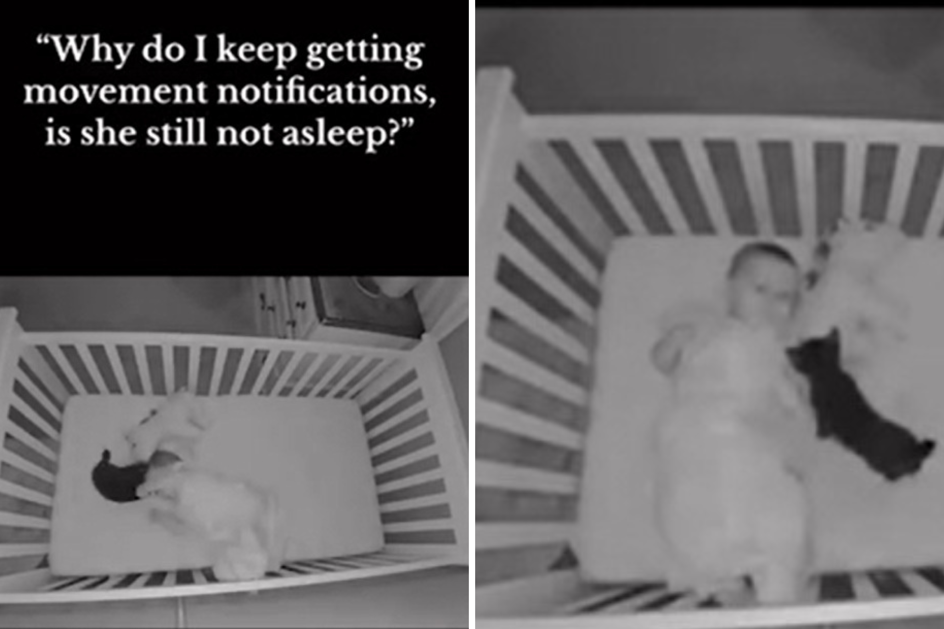 Baby Cam Keeps Detecting Movement, Mom Shocked to Discover Who's in ...