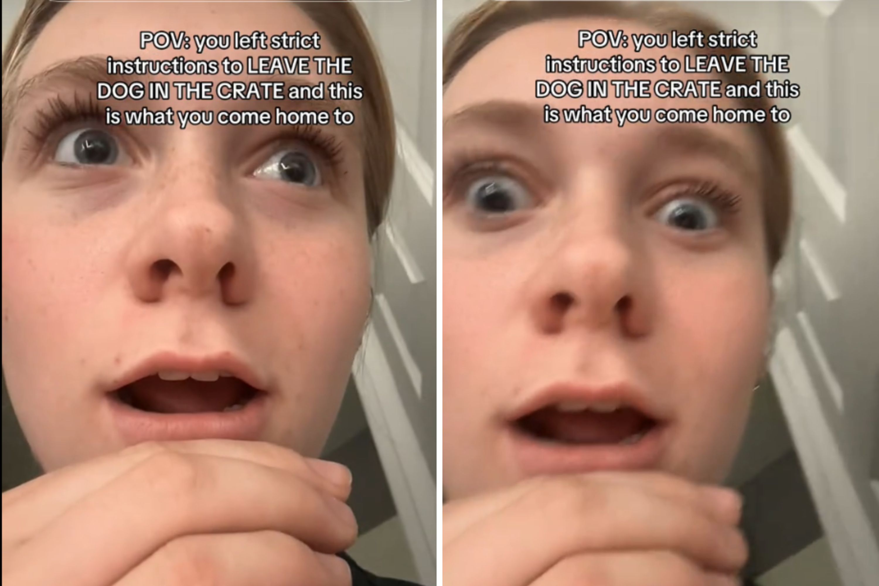 Woman Gives Dogsitter 'Strict Instructions'—Shock at What She Comes ...