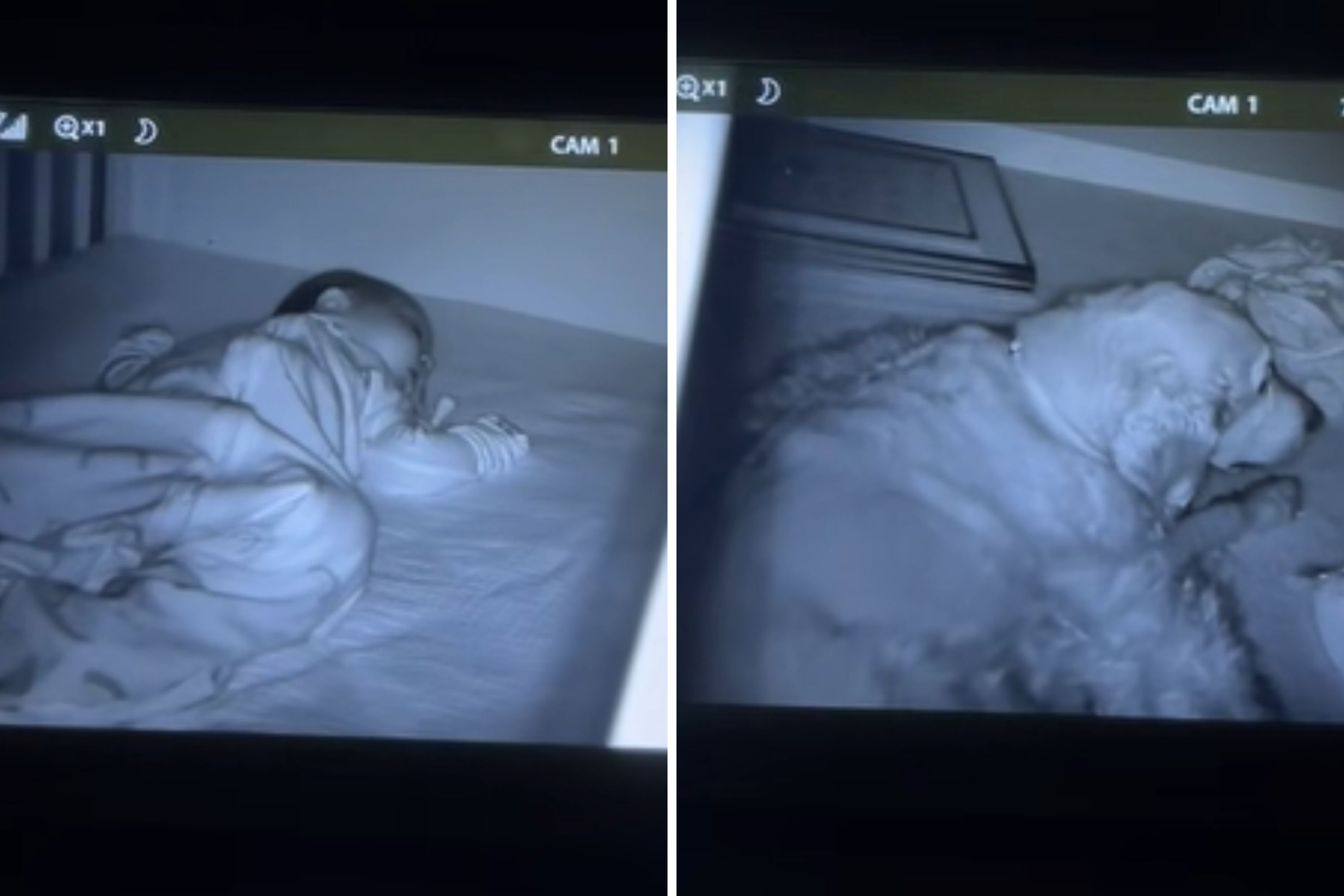 Mom Can't Find Dog During Baby's First Night in Crib—Then She Checks Camera - Newsweek
