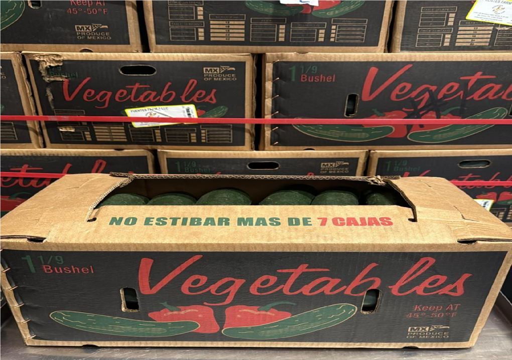 Cucumber Recall Sparks Warning to Customers - Newsweek