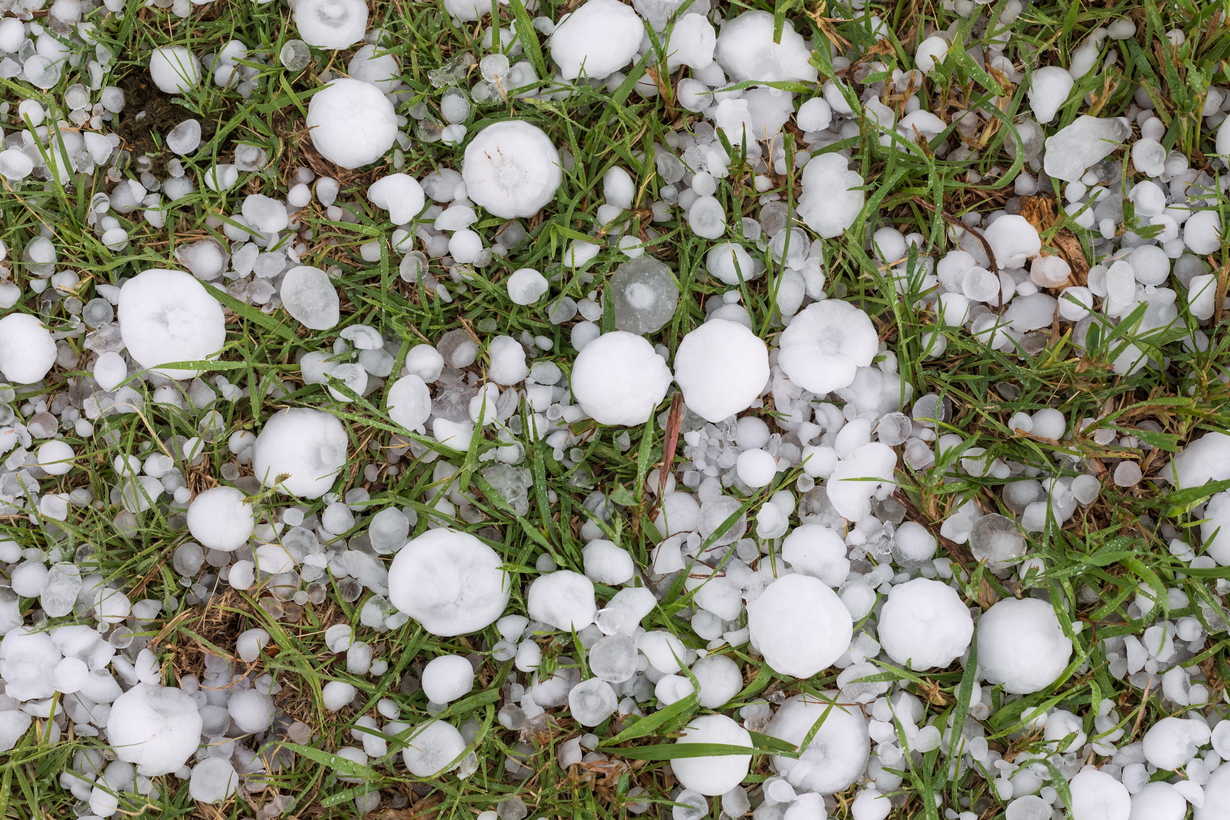 More Than 700,000 Warned of Golf-Ball-Sized Hail: People 'Will Be ...