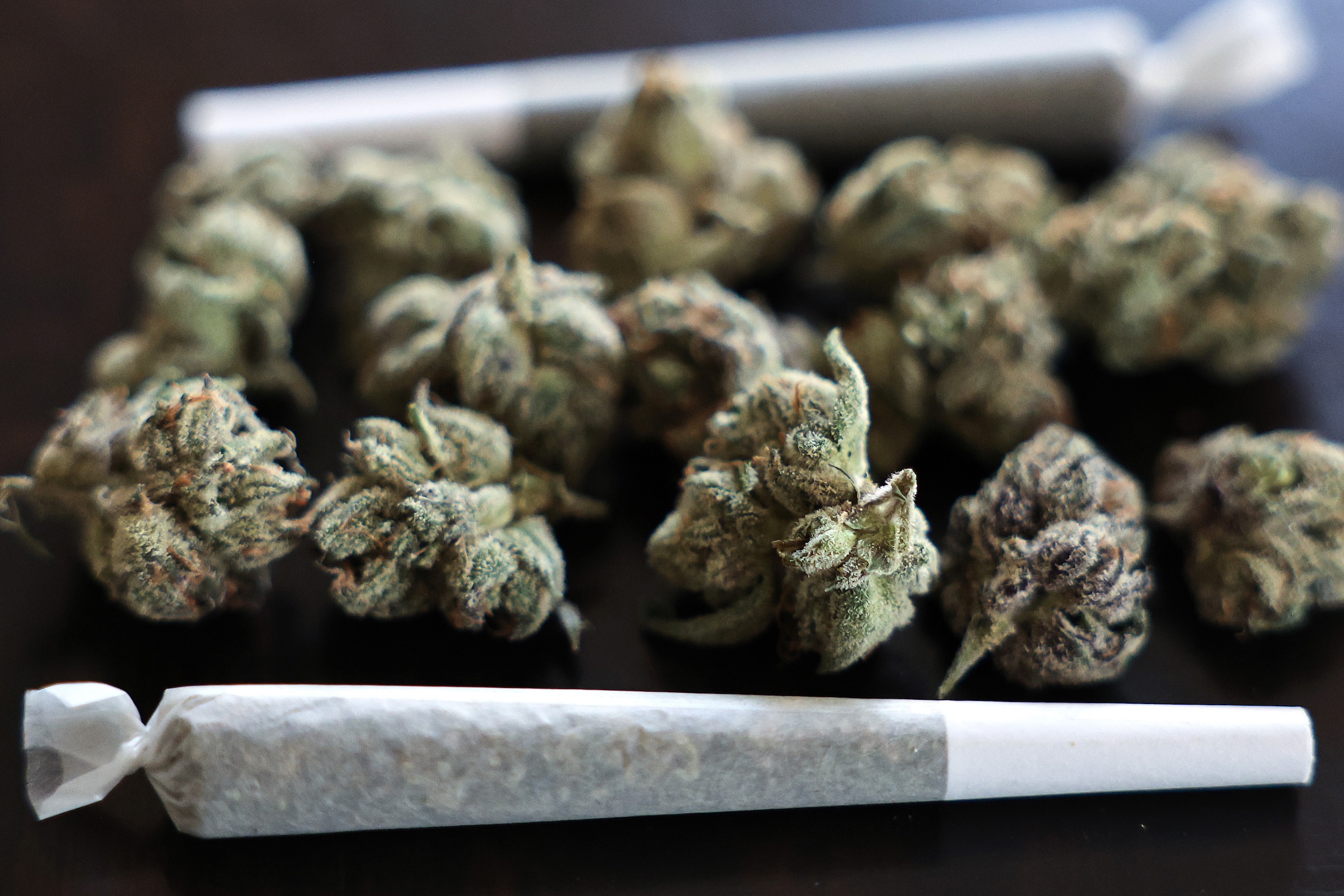 More Seniors Are Using Drugs—Here's Why It Matters | Opinion - Newsweek