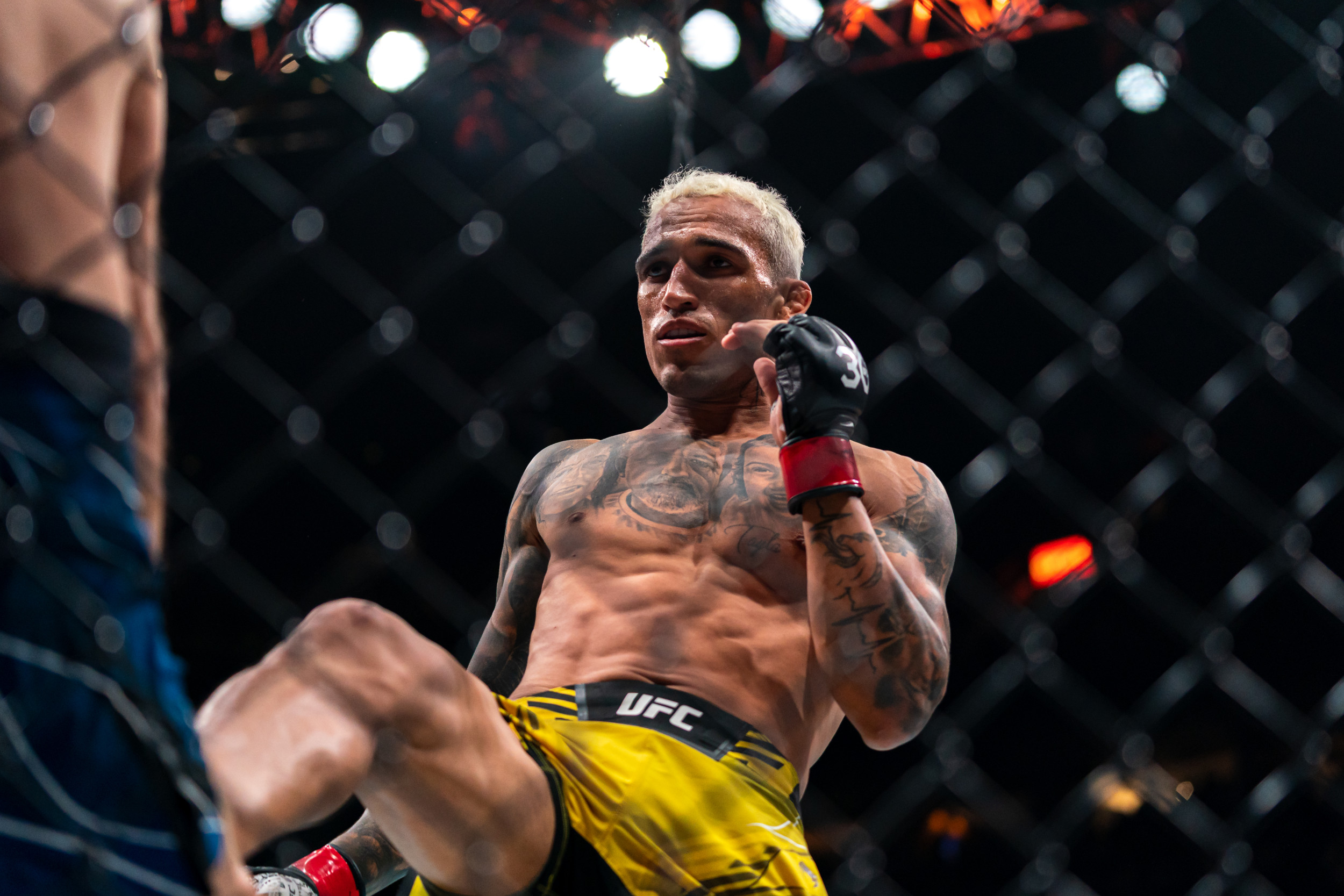 How to Watch UFC 317: Live Stream Charles Oliveira vs Ilia Topuria, TV ...