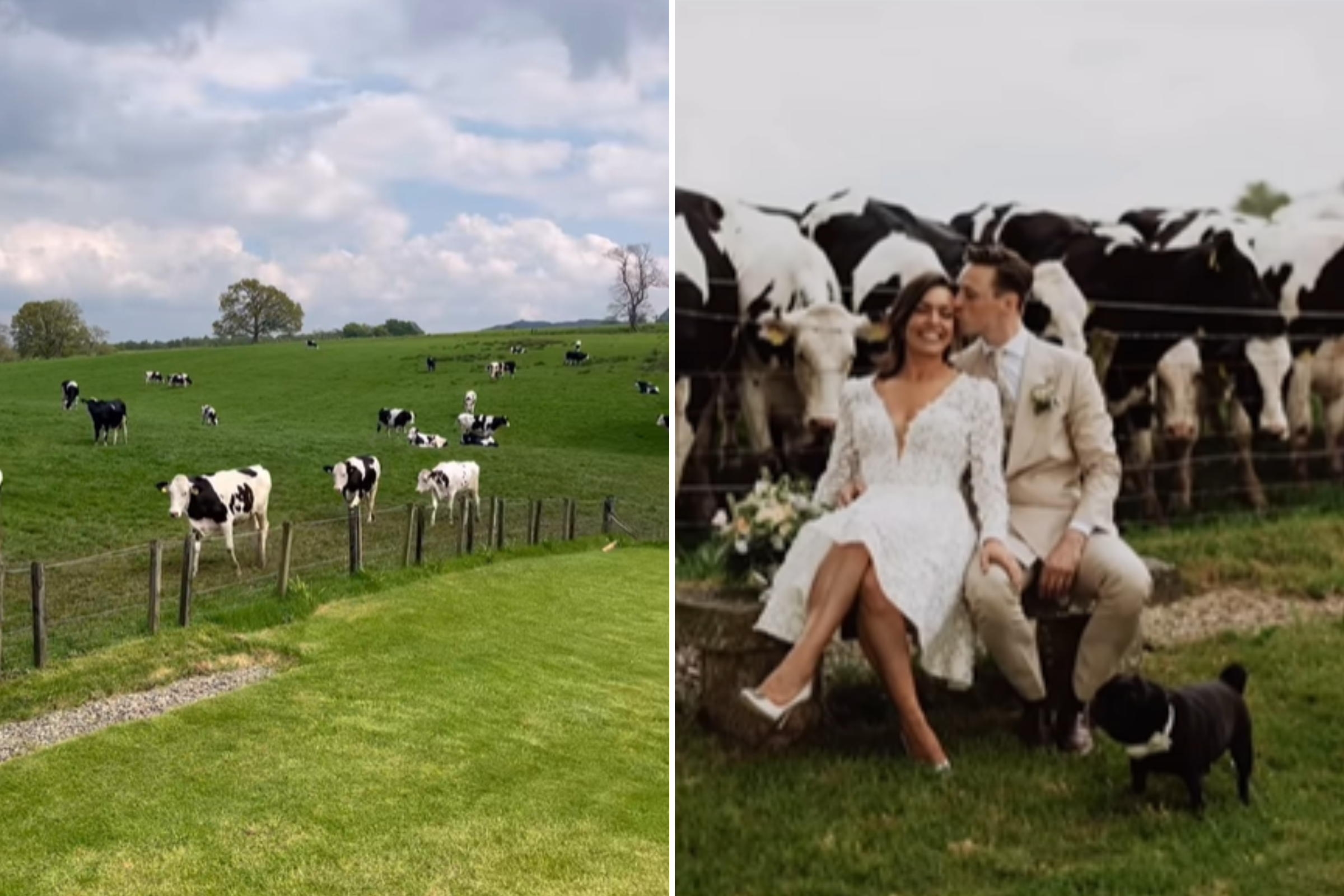 Cow print wedding 60 photos - Astyledwedding.com