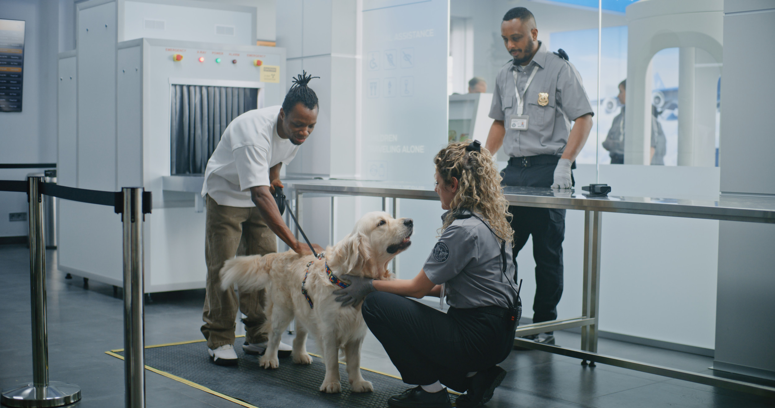 Hearts Melt as Dogs Meet on Flight, Stare at Each Other the Whole Time ...