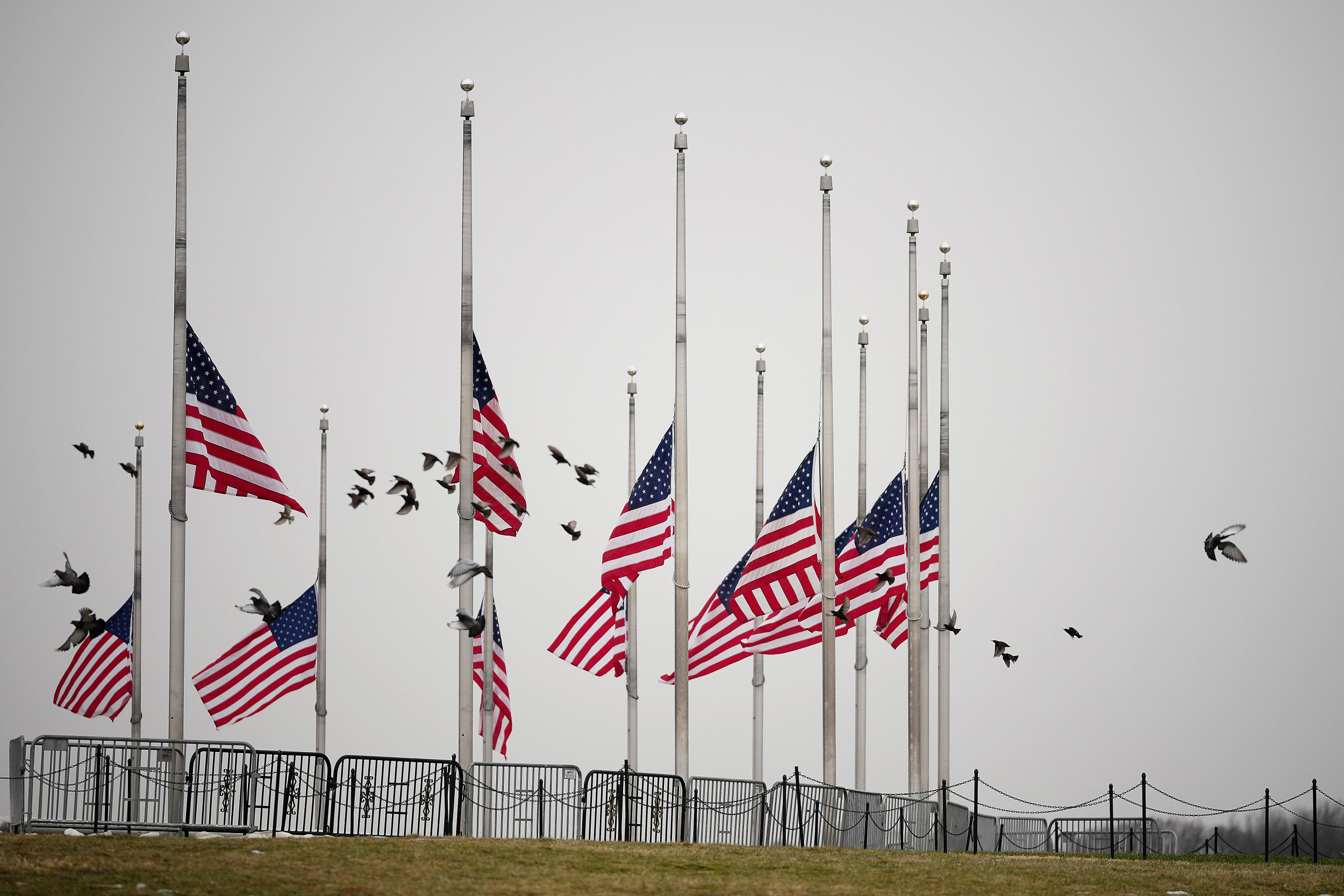 Why Flags Are Half-staff in Four States Today, This Weekend - Newsweek