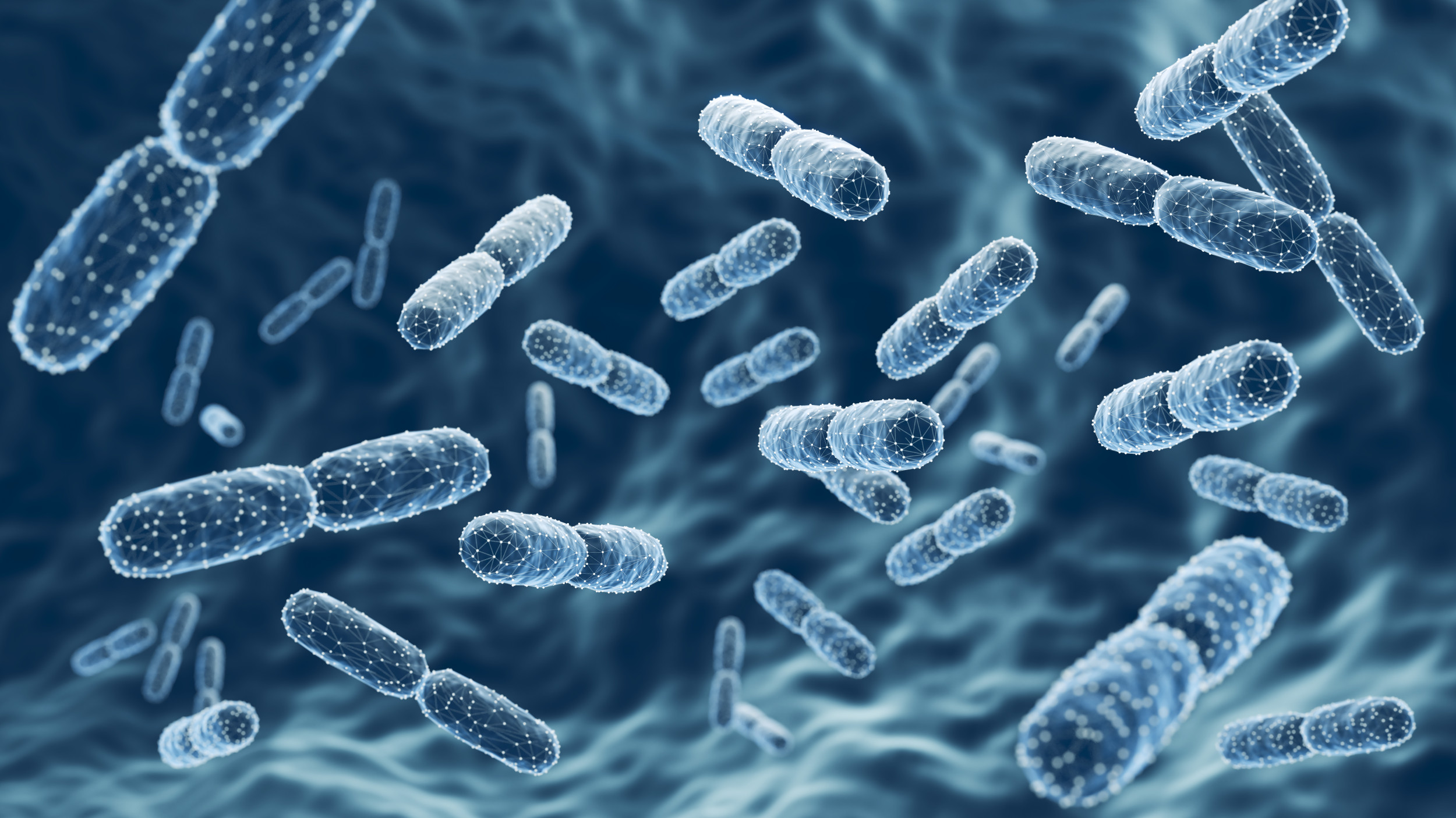 Common Food Bacteria 'Could Transform Nutrition and Medicine' - Newsweek