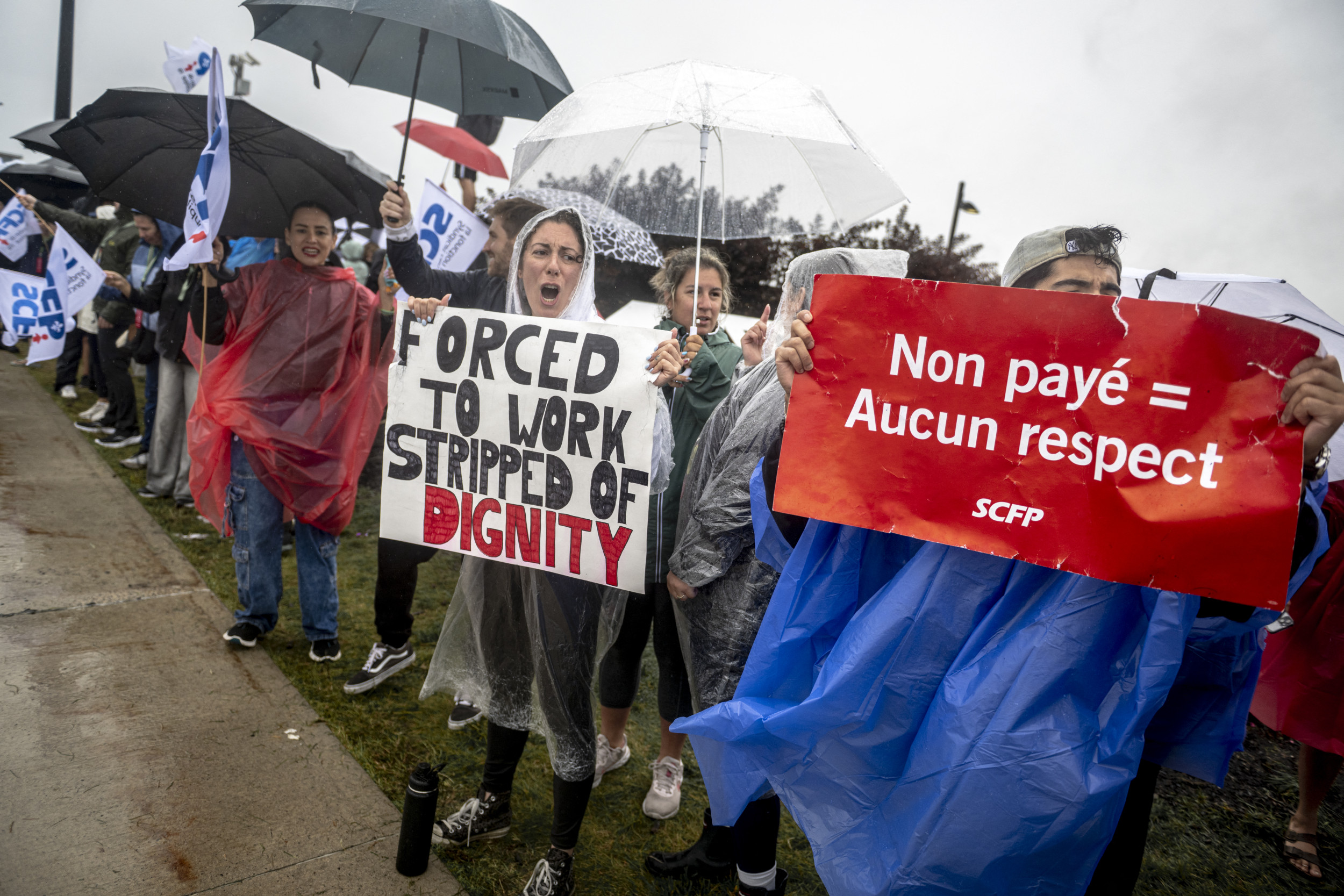 Air Canada Strike: CUPE Issues Major Update, Flights Due to Restart ...