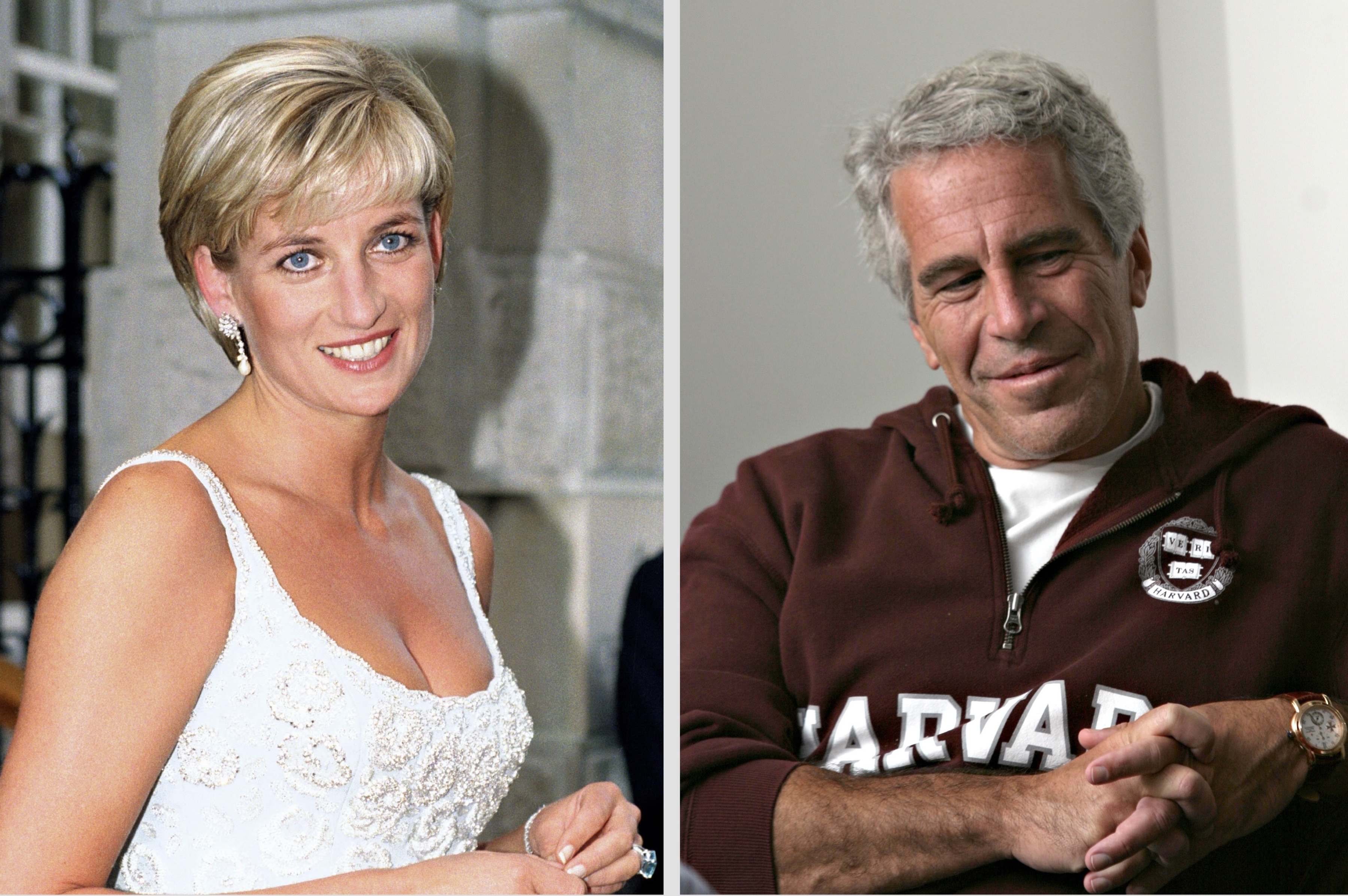 Ghislaine Maxwell Says Epstein May Have Been Set Up With Princess Diana - Newsweek
