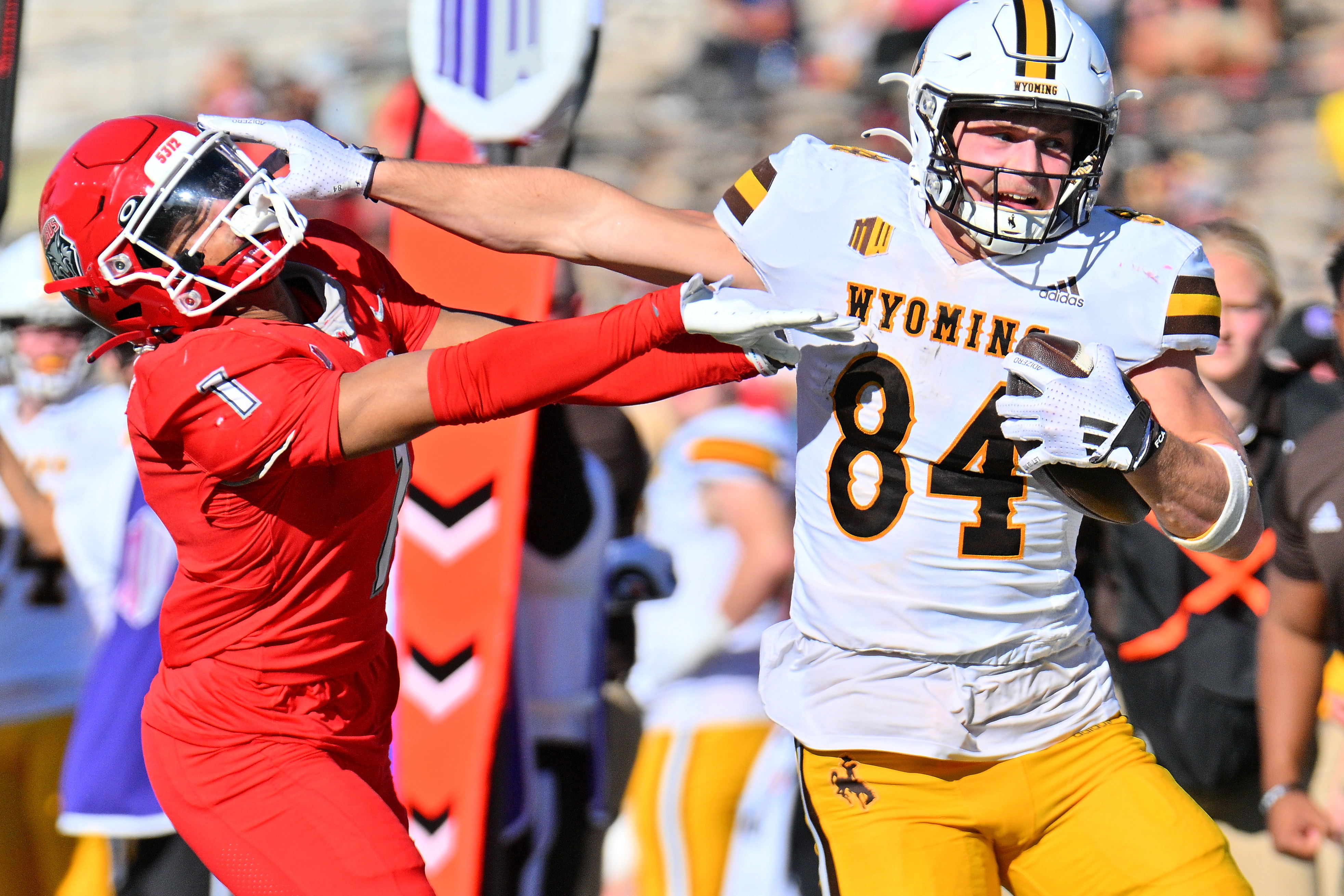 How to Watch Wyoming vs Akron: Live Stream College Football, TV Channel ...