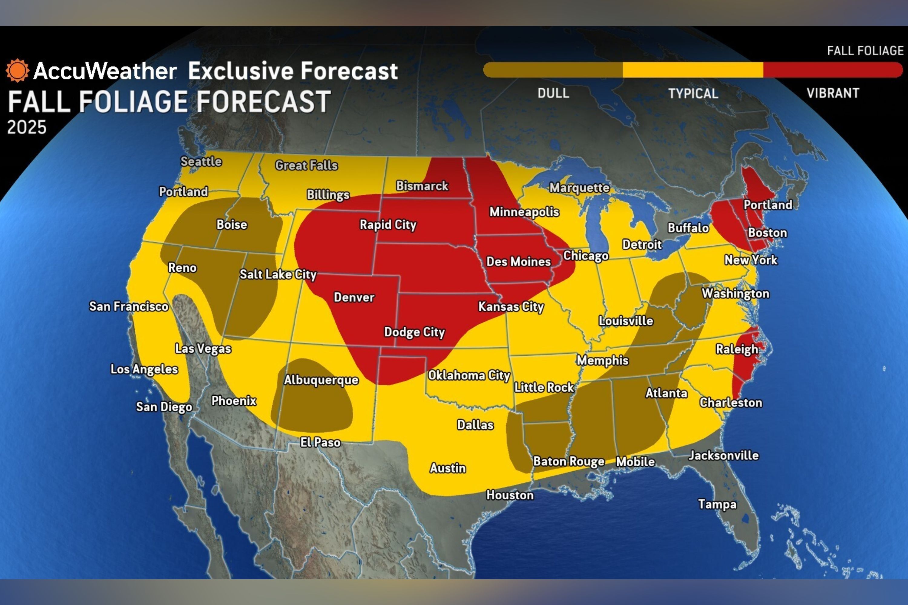 Fall Foliage Map Shows Best States to See Autumn Colors - Newsweek