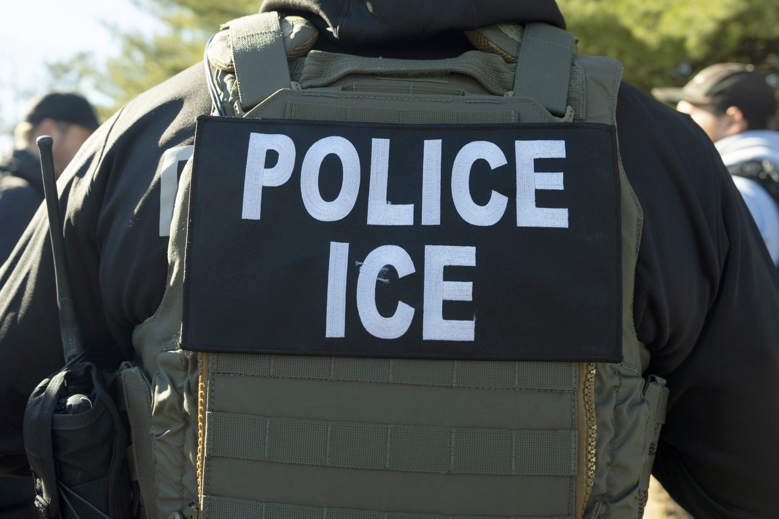 MMA Fighter Wants To Join ICE To Hurt Indian Workers - Newsweek