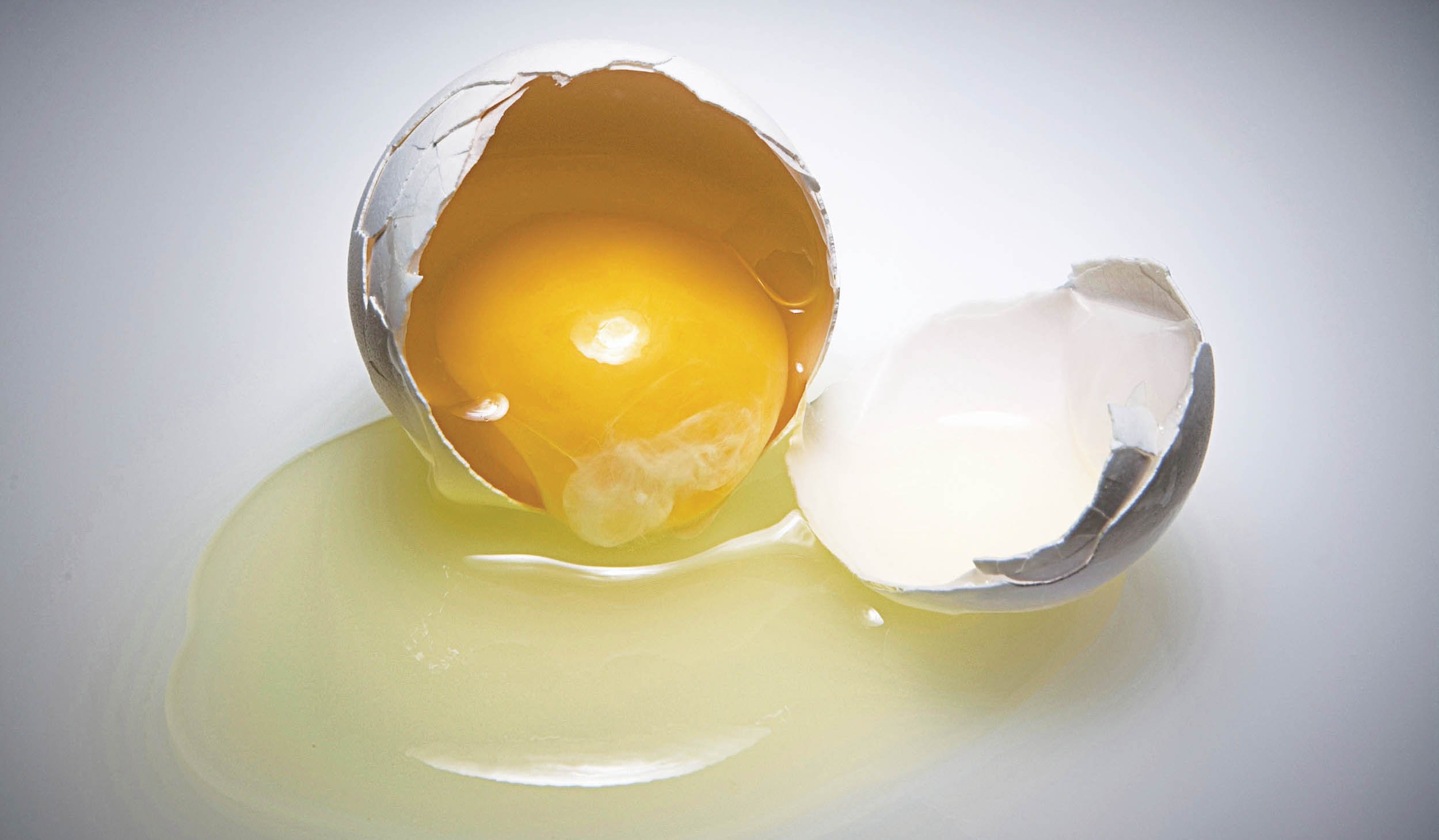 An Eggless Egg You Can Fry - Newsweek